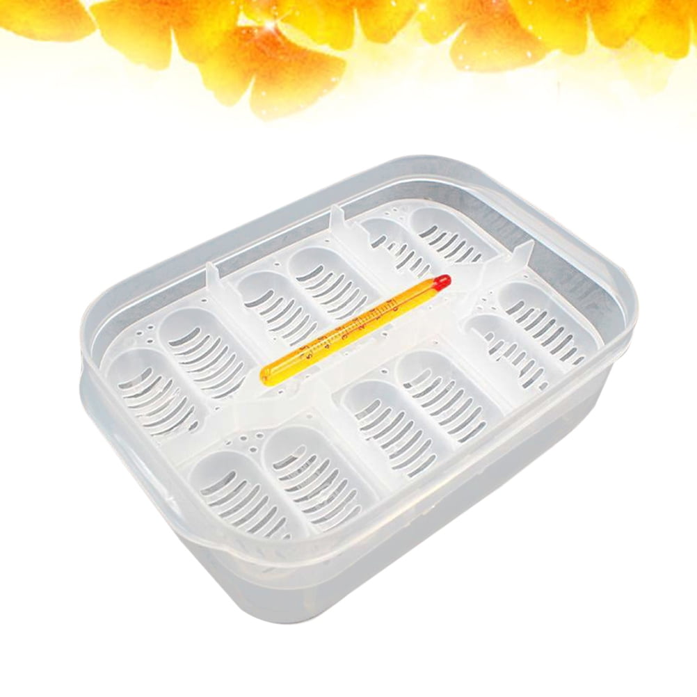 FRCOLOR HighQuality Assorted Color Plastic Hatching Box for Snakes and ...