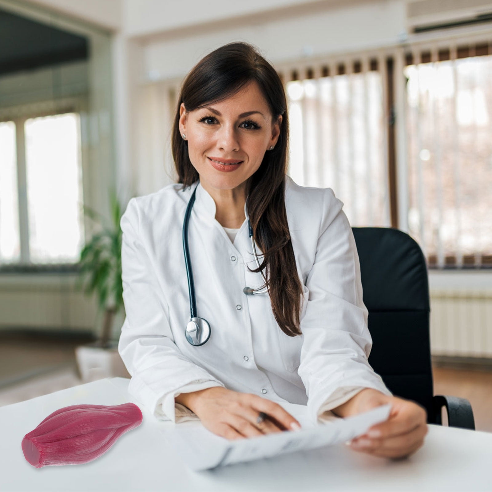 FRCOLOR Human Body Muscle Model Demonstration Bright Color - Walmart.com