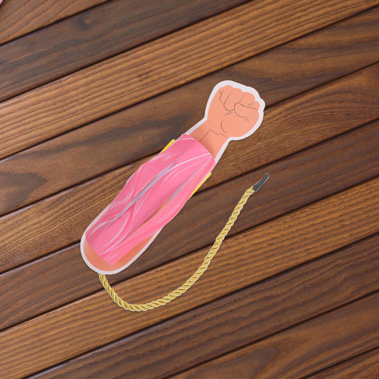 FRCOLOR Human Body Muscle Replicas Realistic Anatomic Muscle Tissue ...