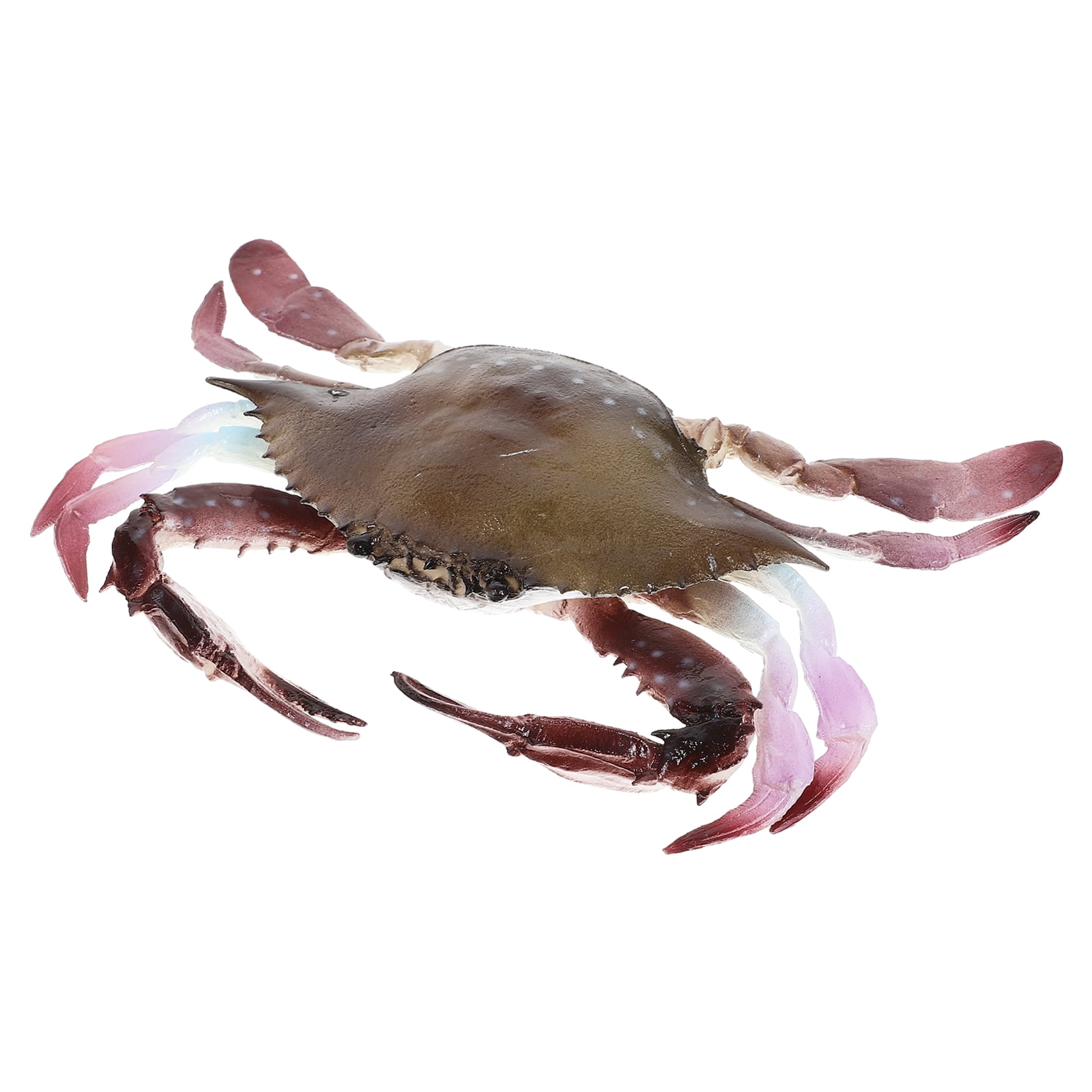FRCOLOR Lifelike Crab Figure Artificial Crab Model Ocean Sea Animal ...