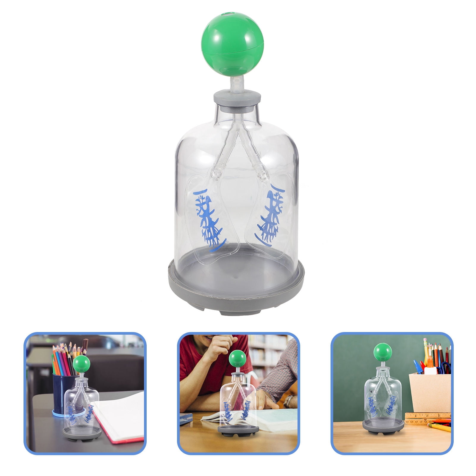 FRCOLOR Lung Breathing Teaching Model Lung Organs Breathing Awareness ...