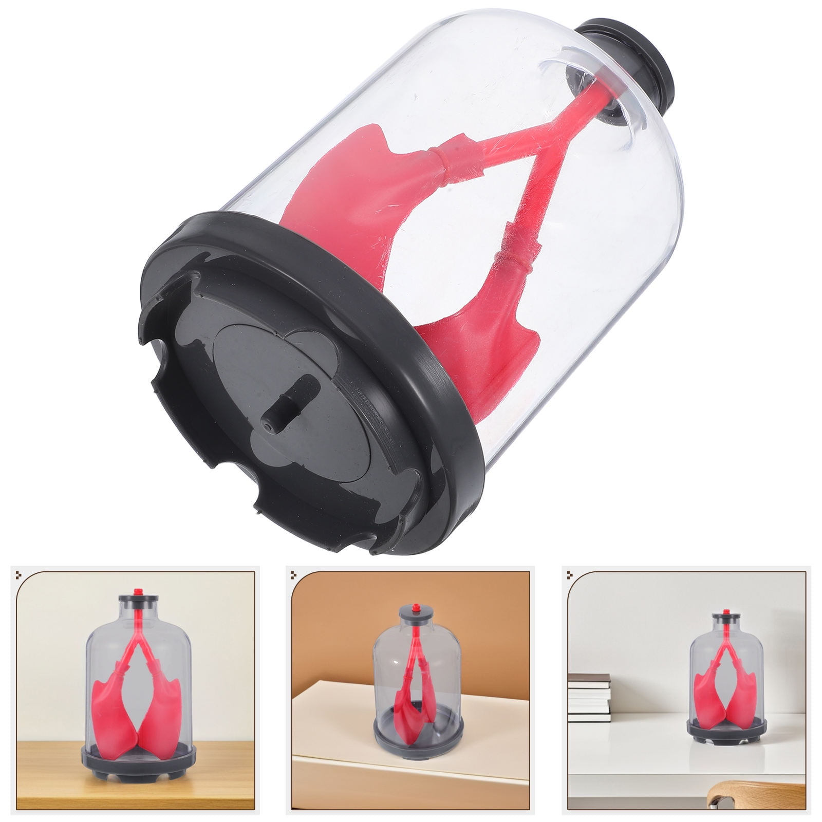 FRCOLOR Lung Function Learning Model for Kids Human Anatomy Breathing ...