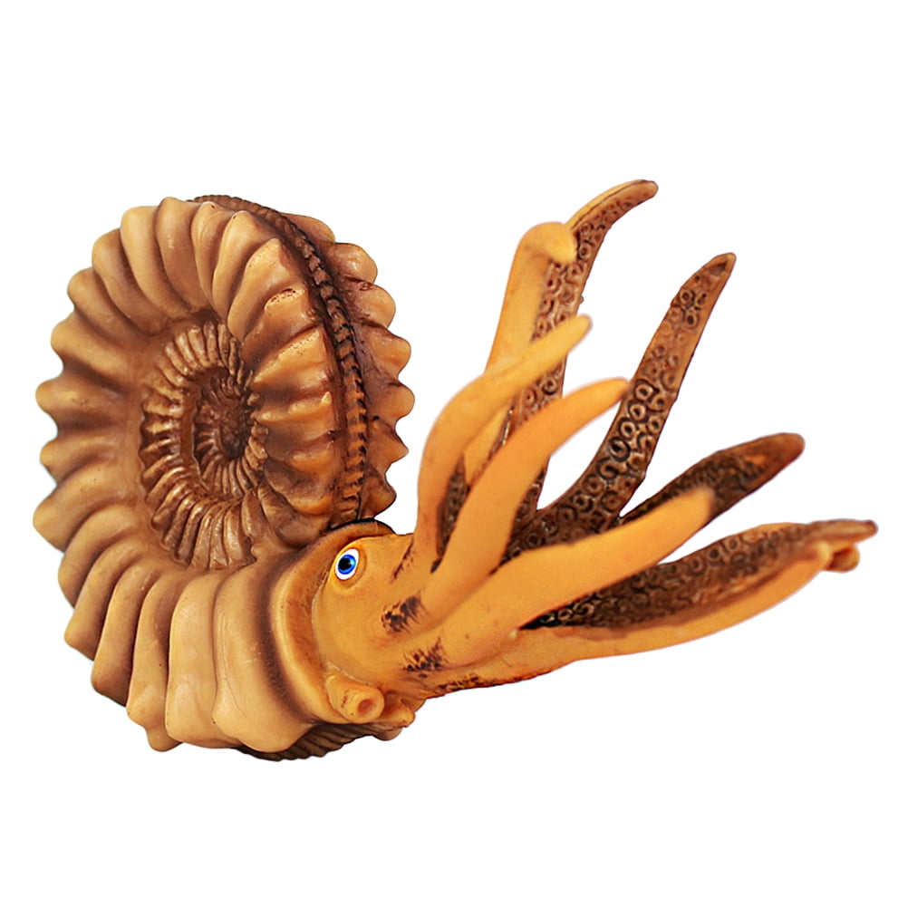 FRCOLOR Ocean Animals Figures Nautilus Model Marine Life Toy Girl Child ...