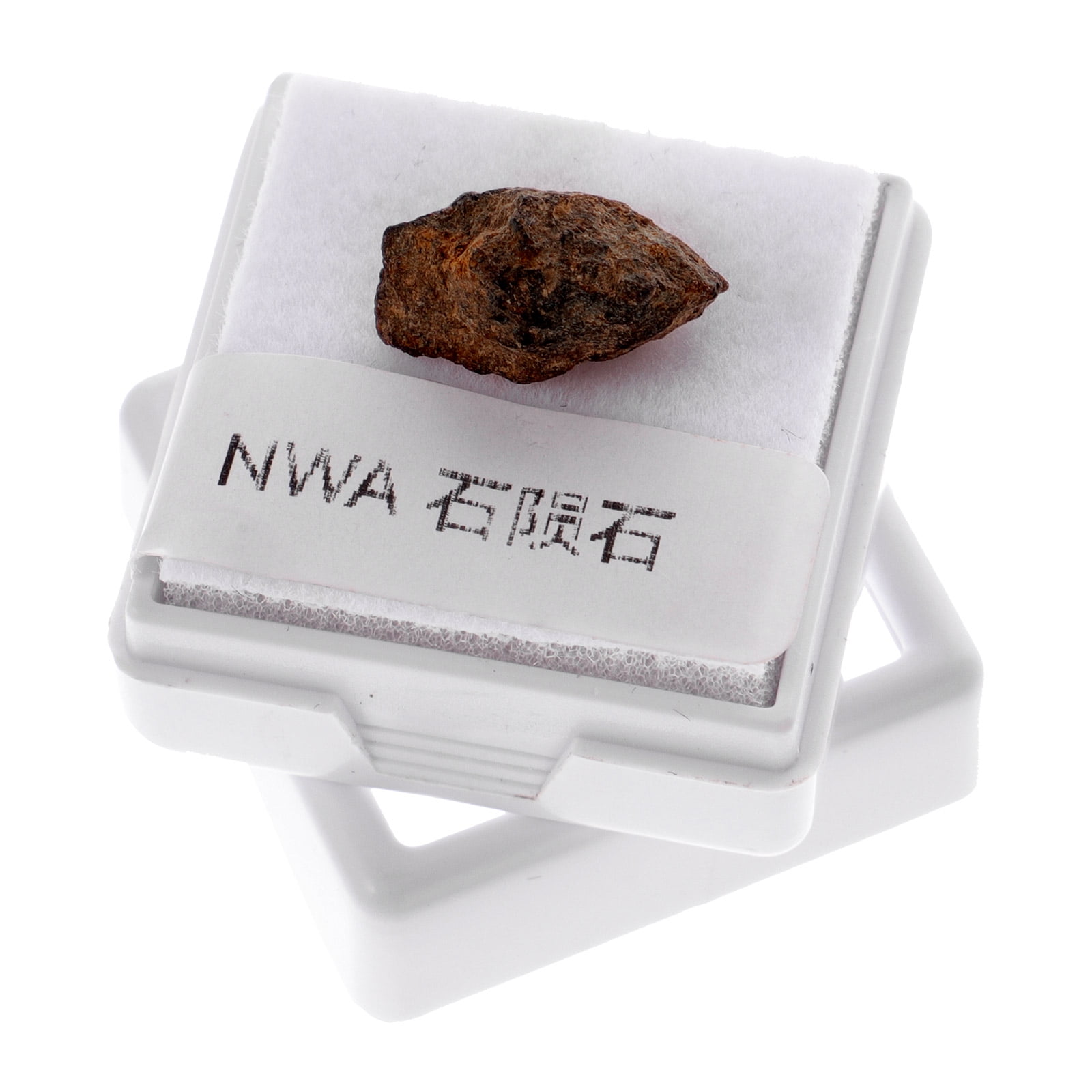 FRCOLOR Olive Meteorite Specimen Scientific Specimen Olive Stone ...