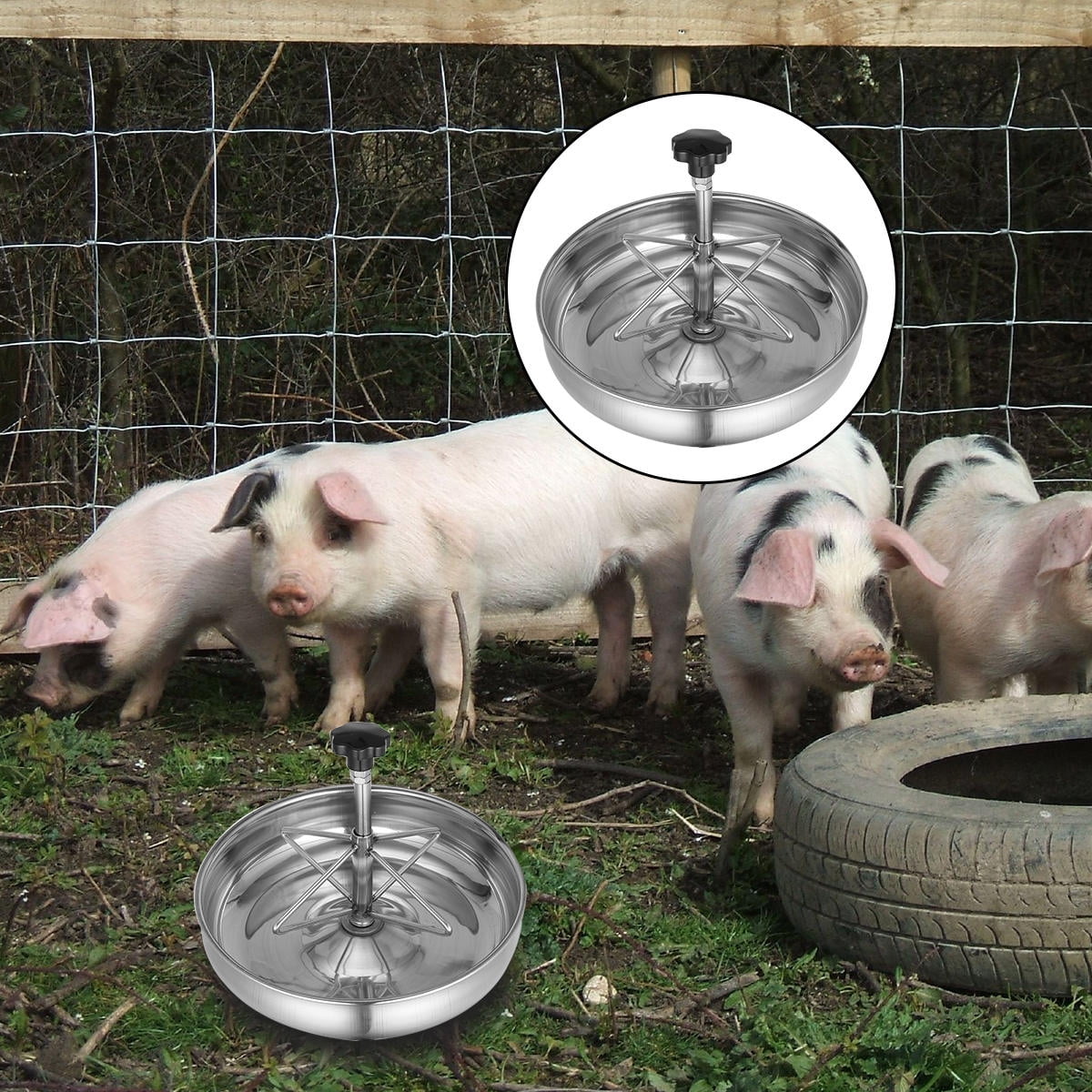 FRCOLOR Pig Feeder Bowl Stainless Steel Food Tank Livestock Feeding ...