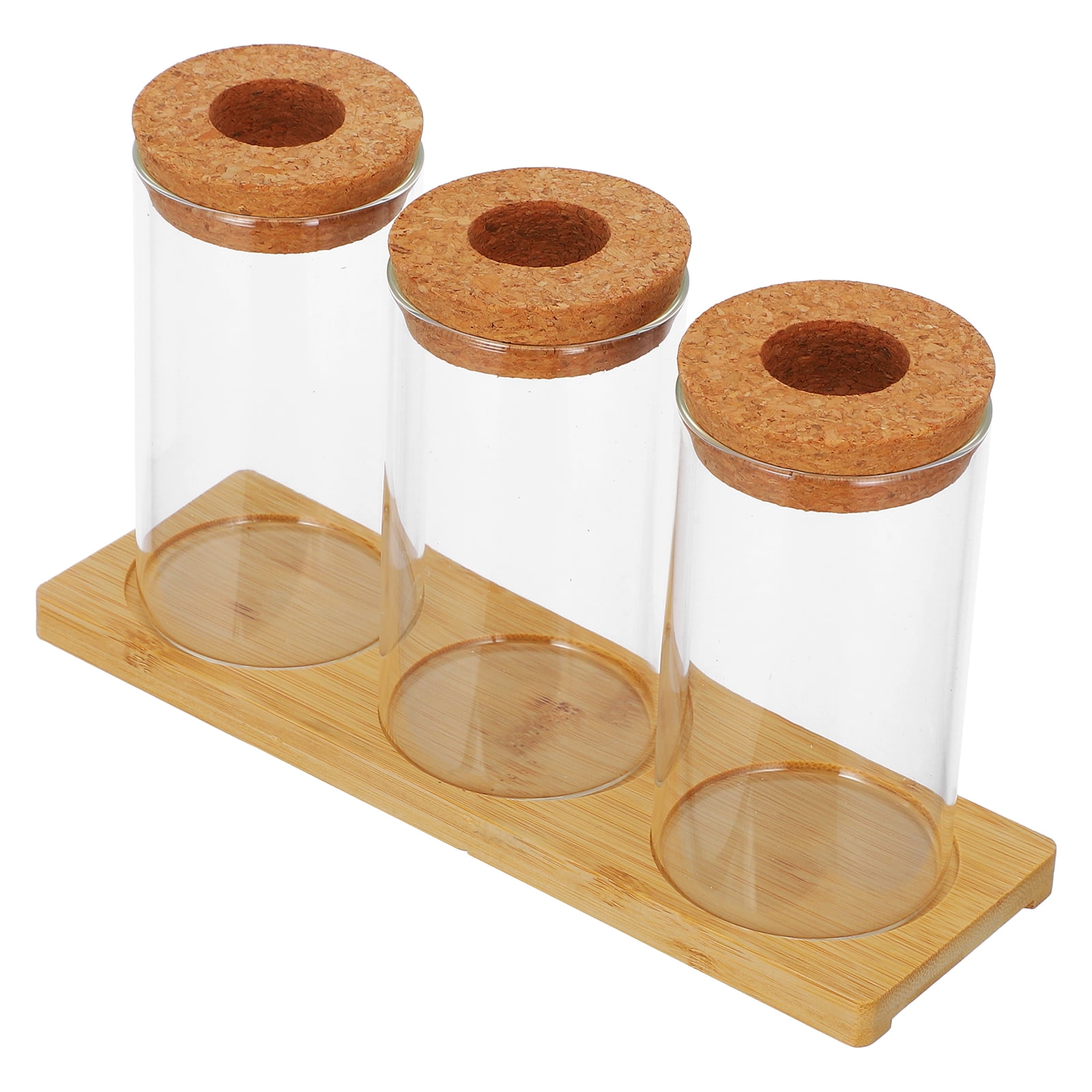 FRCOLOR Plant Propagation Terrarium: Set of 3 Desktop Glass Planter ...