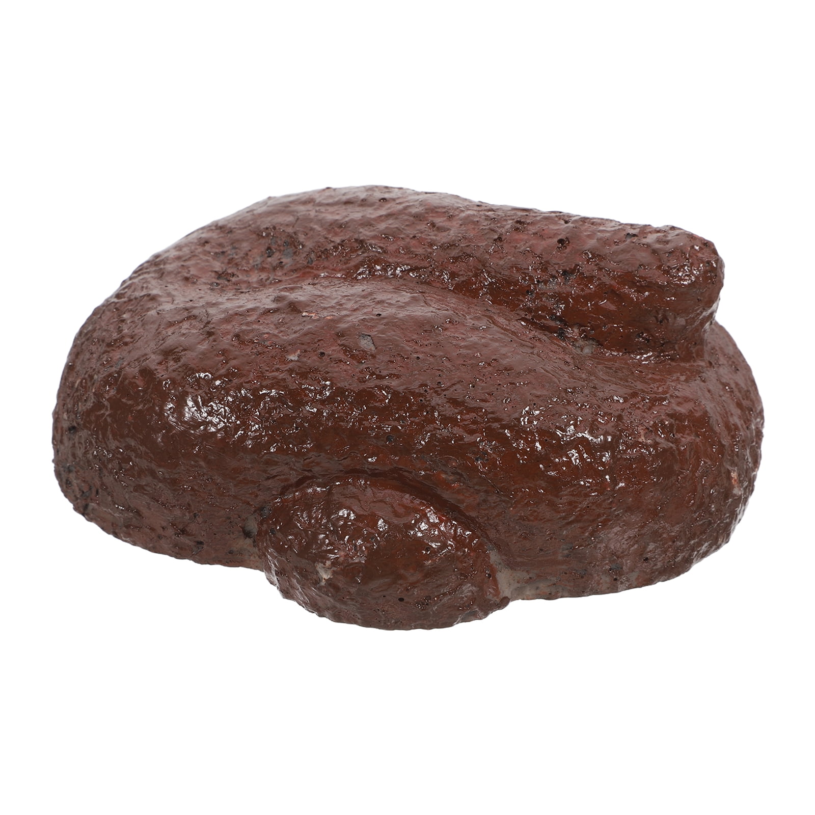 FRCOLOR Poop Key Hider Outdoor Key Storage Box Discreet House Spare ...