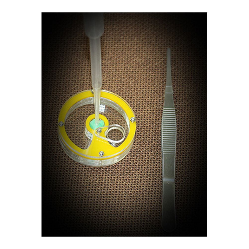 FRCOLOR Practical Ant Acrylic Living Nest Comfortable Ant Breeding Box ...