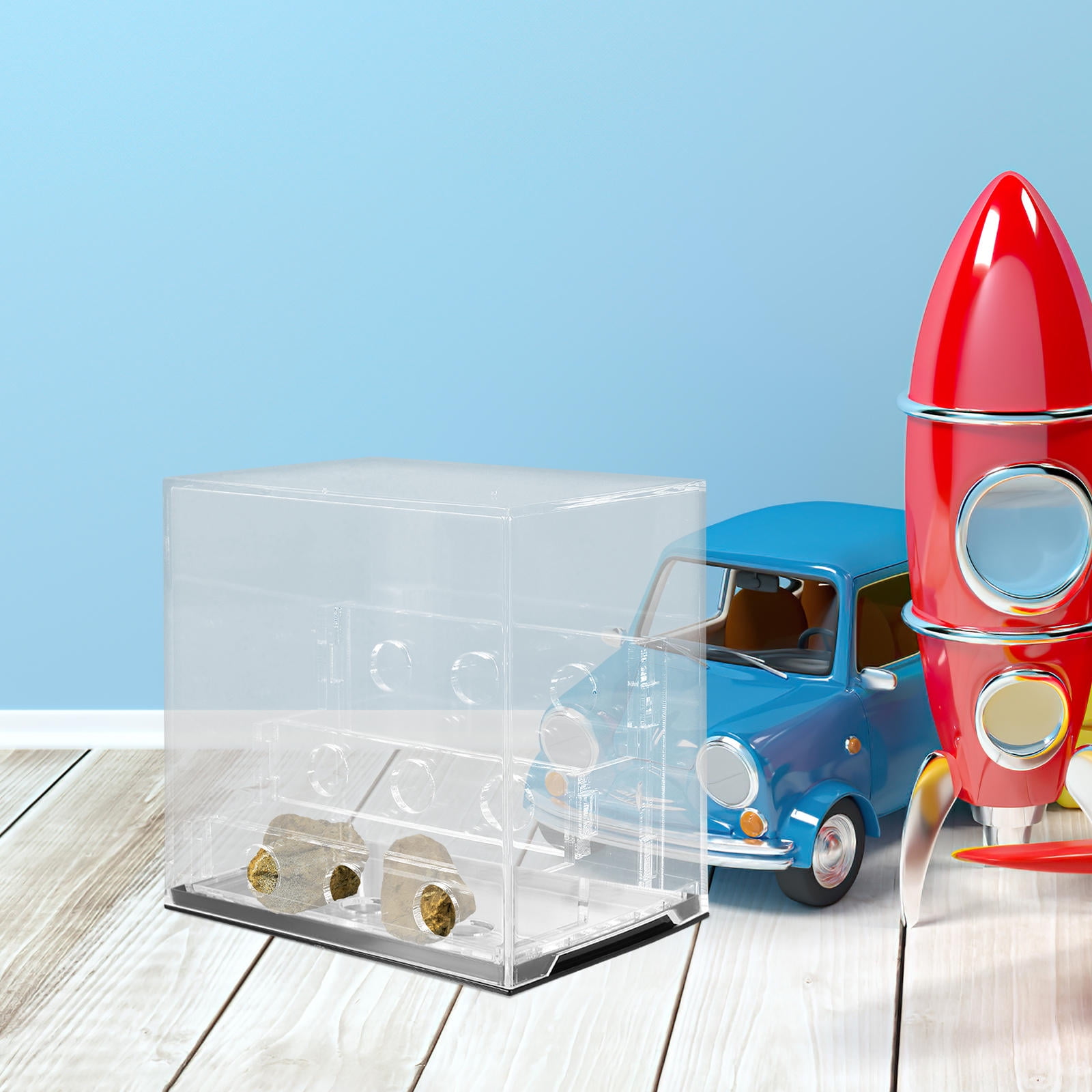 FRCOLOR Rock Collection Box Crystal Display Box Shell Collection Box ...