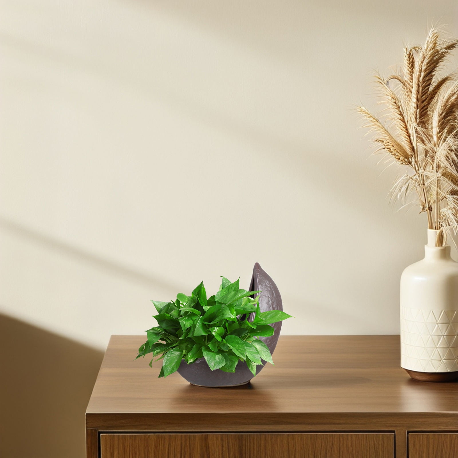 FRCOLOR Shallow Moon Shaped Flower Pot For Home Decor Living Room Desk ...