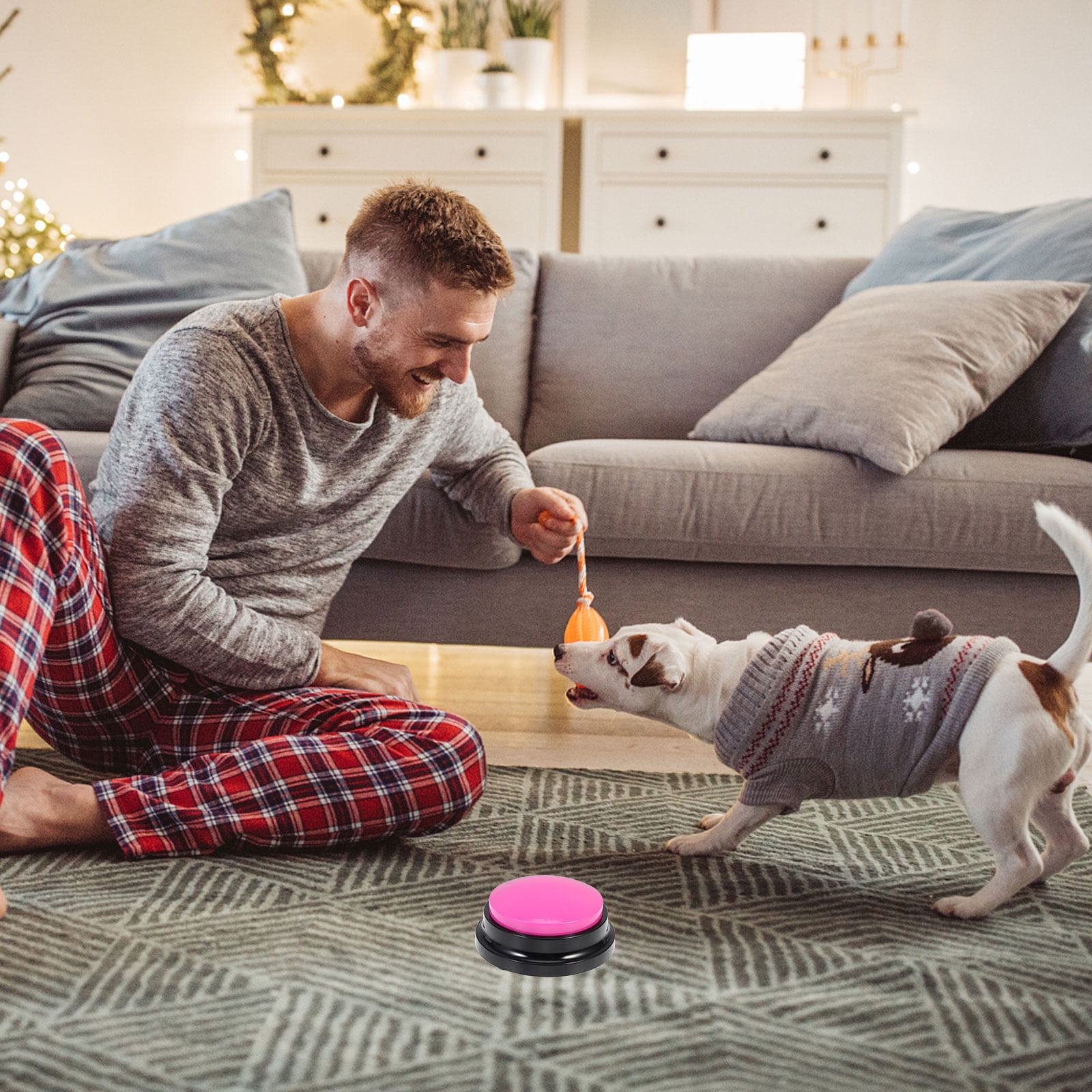 FRCOLOR Smart Pet Training Device Talking Button for Pets - Walmart.com