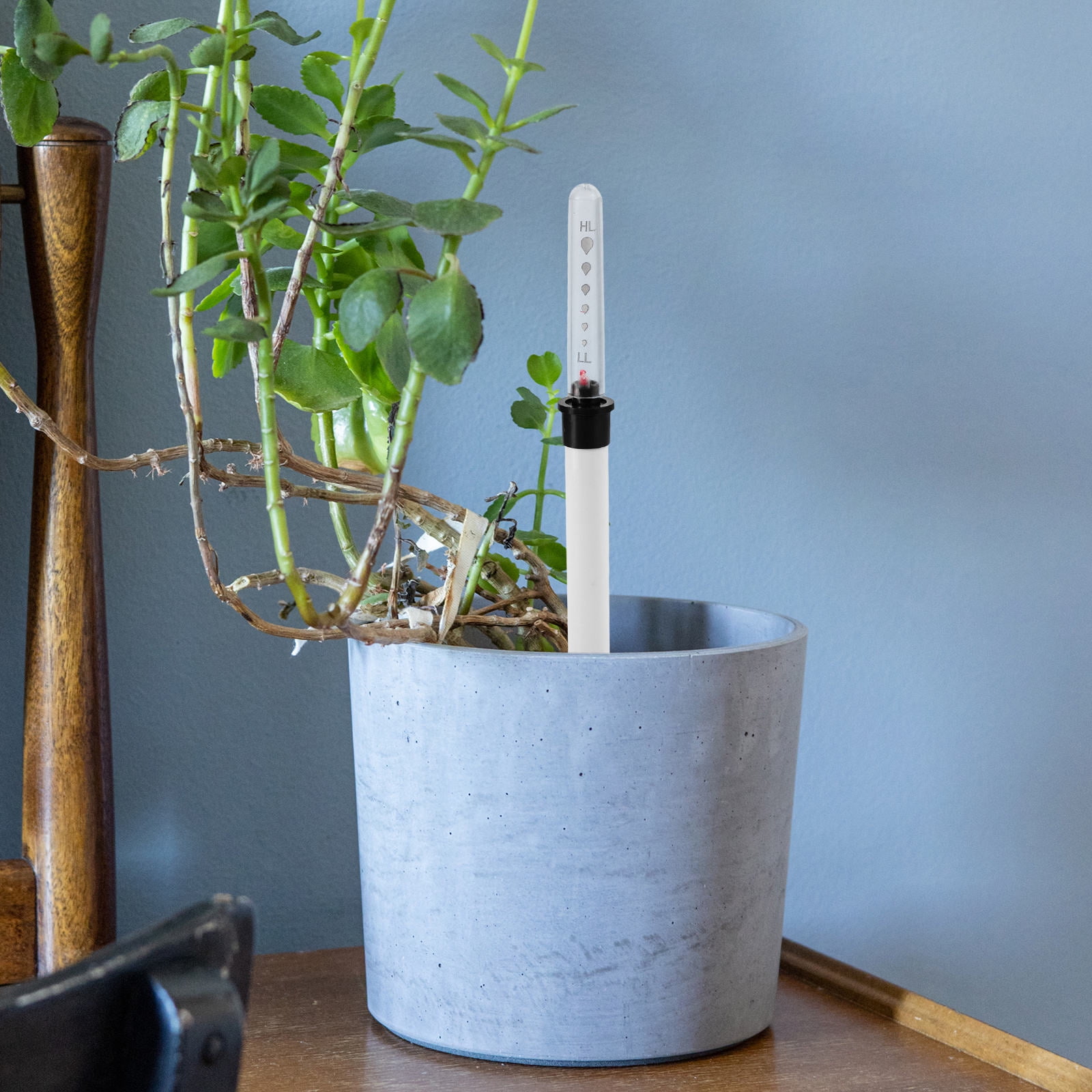 FRCOLOR Smart Water Level Meter for Plants Accurately Detects Hydration ...