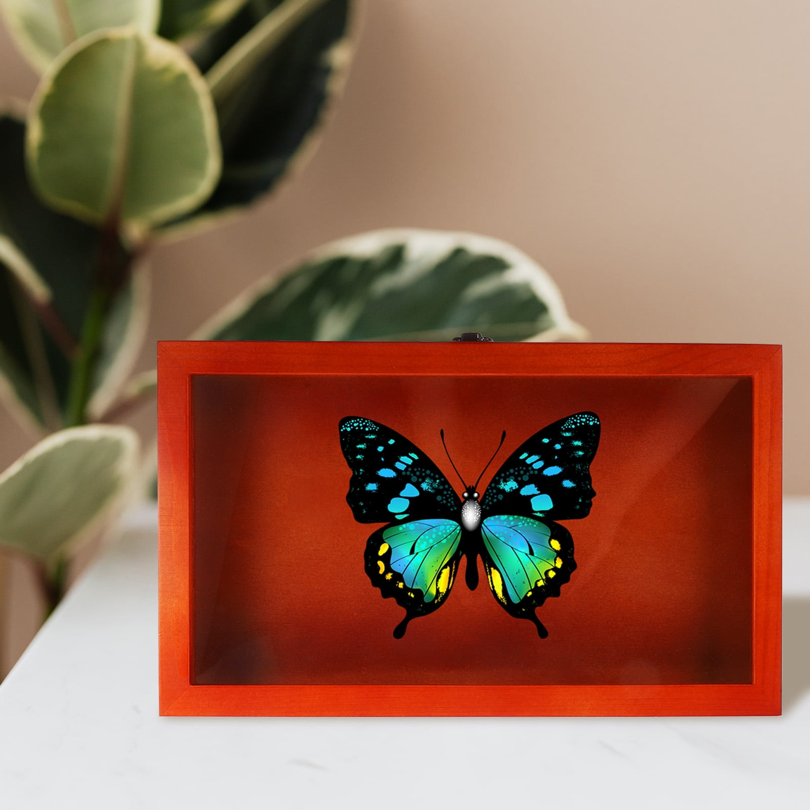 FRCOLOR Specimen Display Box Hanging Wood Case for Specimen Display ...