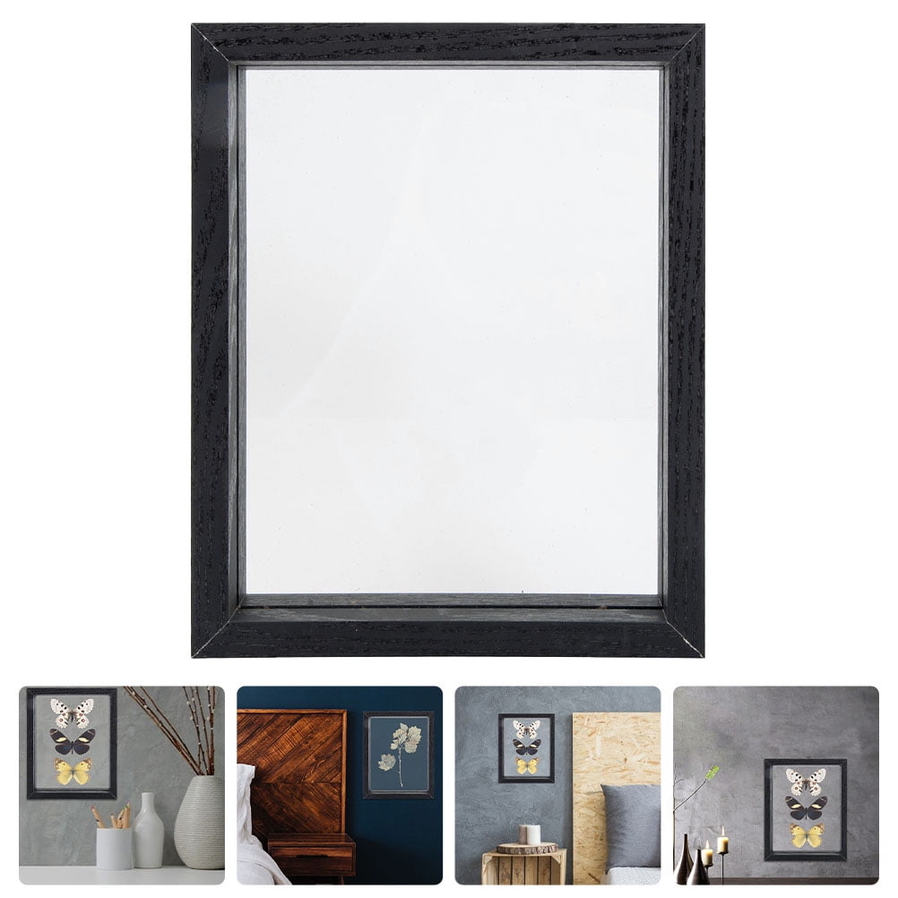 FRCOLOR Specimen Photo Frame Insect Display Stand Case Framed Black ...