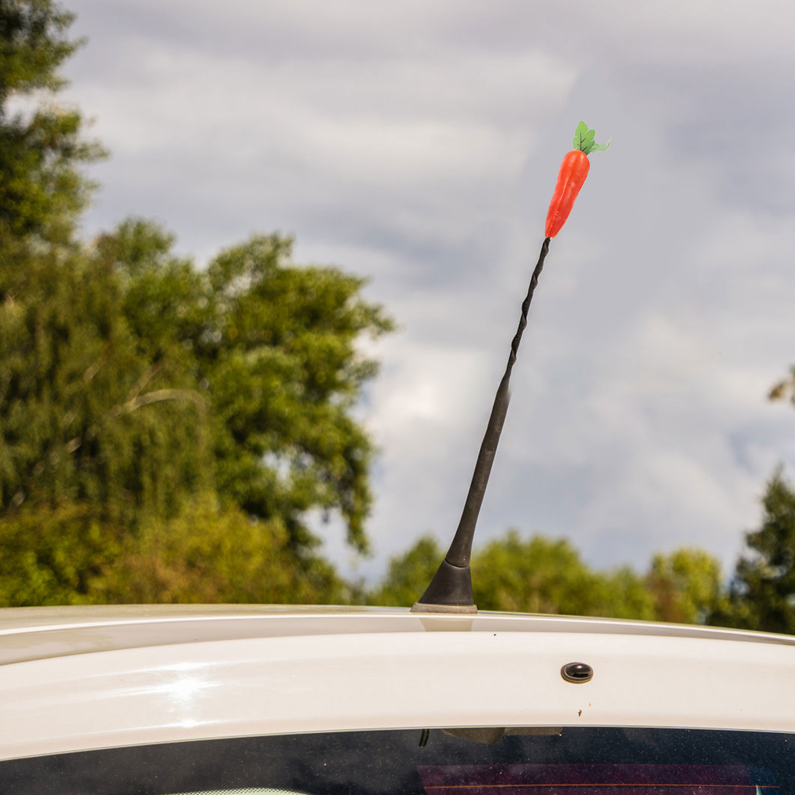 FRCOLOR Universal Car Roof Antenna Topper Unique Auto Exterior ...