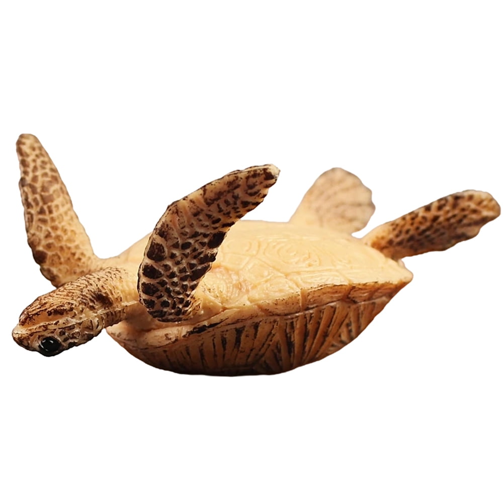Realistic Tortoise Model Statue for Home Decor and Education Made of ...