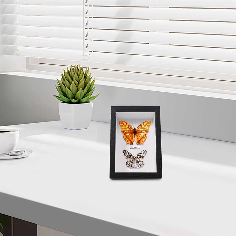 FRCOLOR Black Wood Photo Display Box for Dried Flowers and Specimens ...