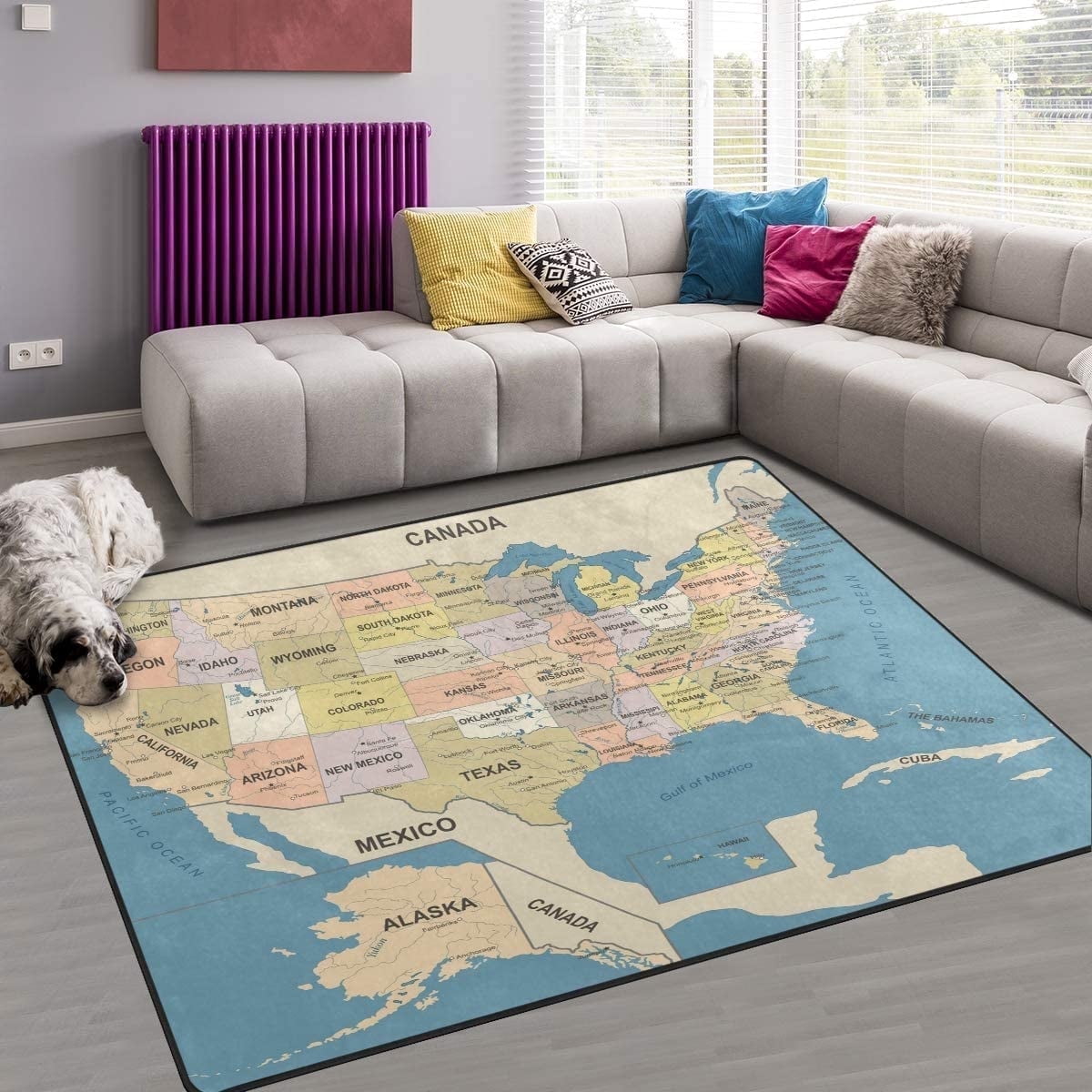 FREEAM Educational Area Rug 48"x63", USA Political Road Map Polyester ...