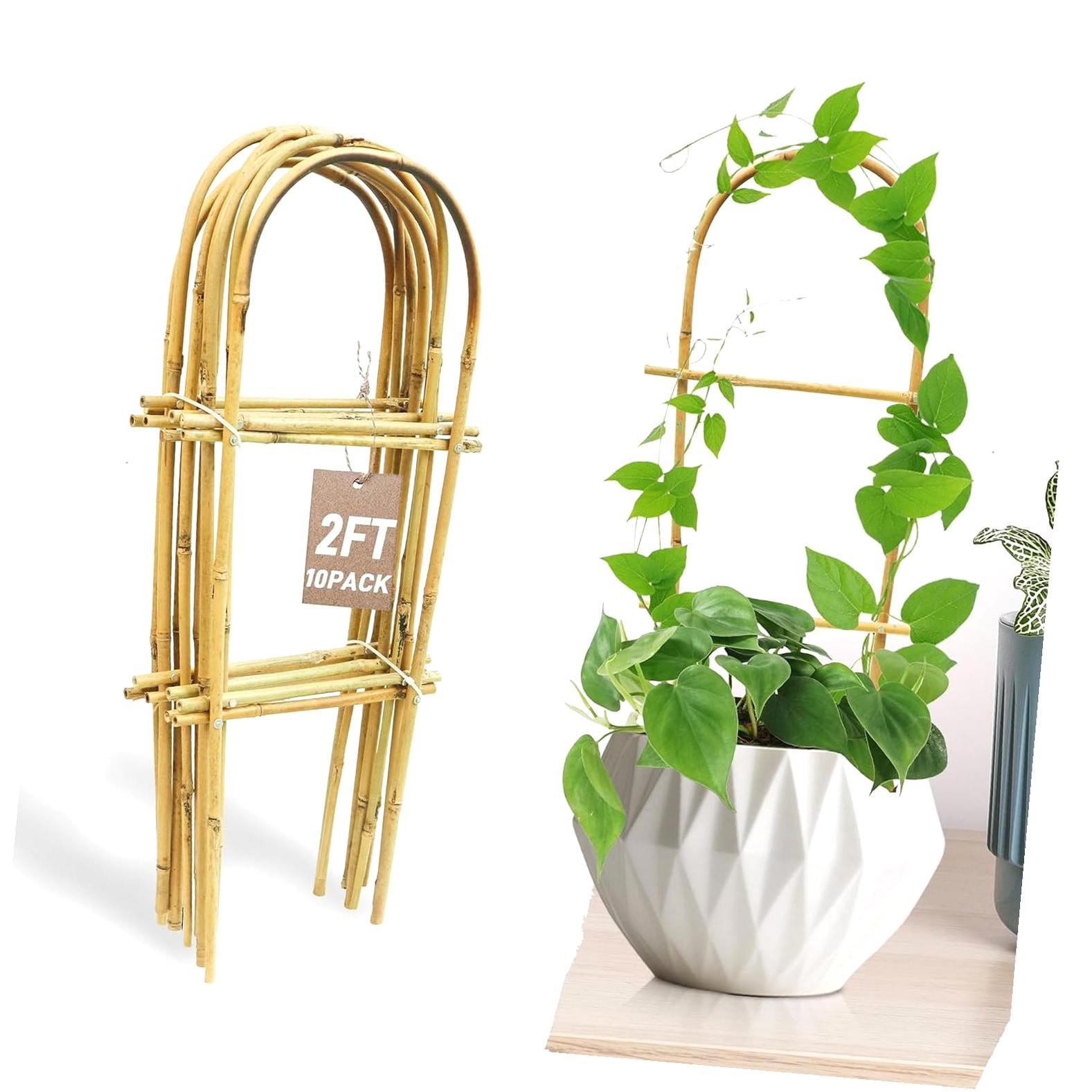 FREEAMG 10 Pack U Trellis for Climbing Plants, 2ft Garden Ladder ...