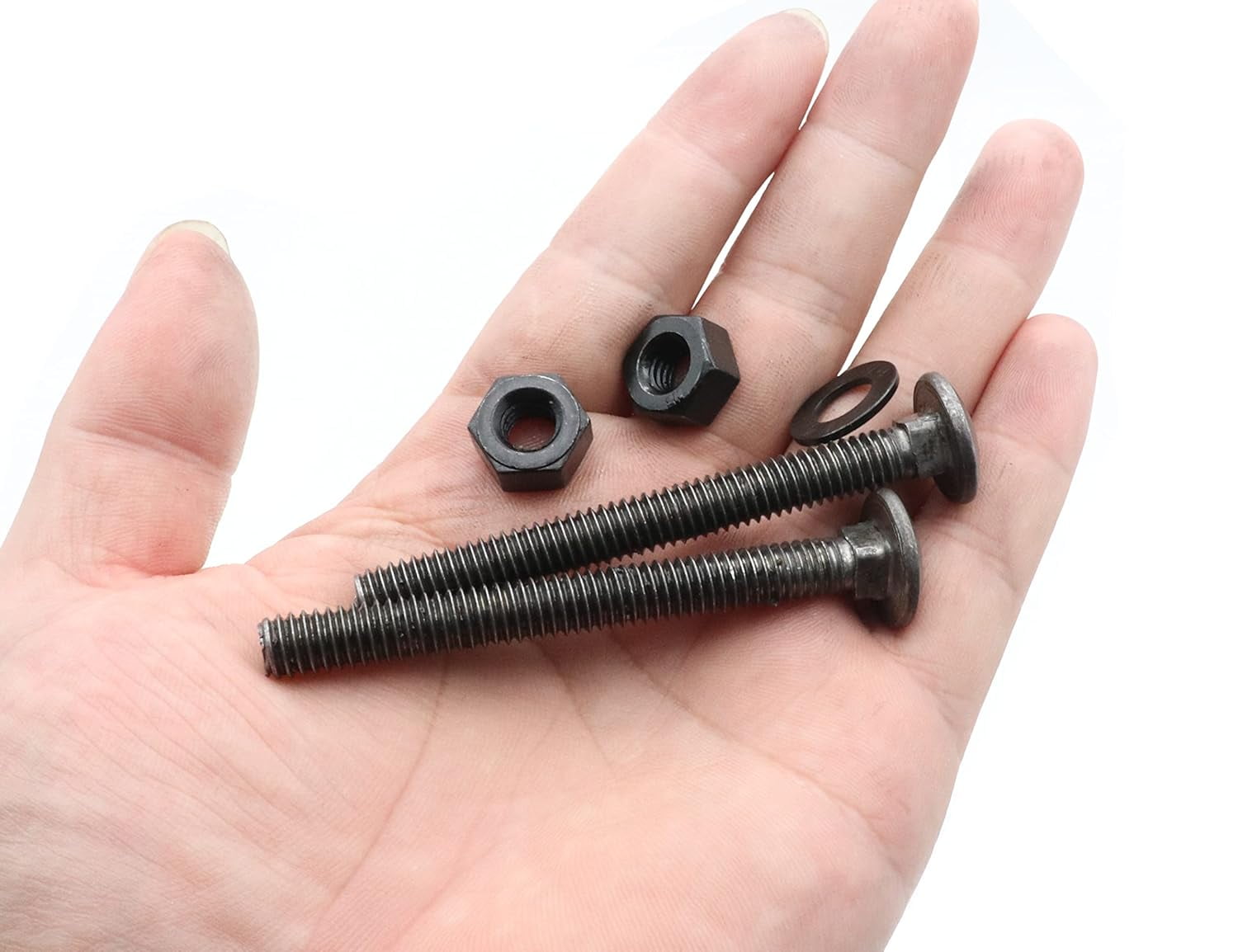 FREEAMG 10-Piece Carriage Bolts and Screws Assortment Kit, 1/4-20 x 2 ...