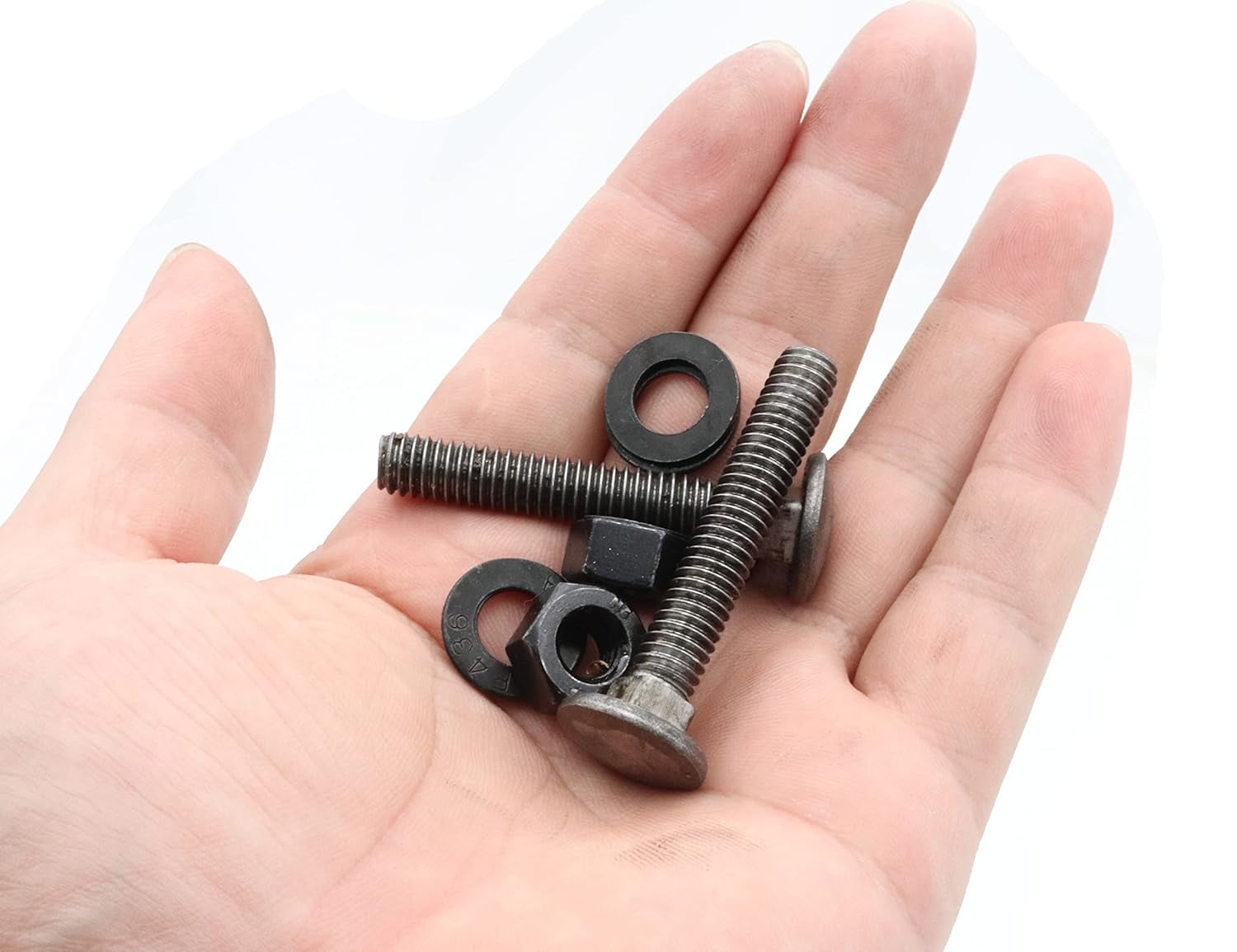 FREEAMG 10-Piece Carriage Bolts and Screws Assortment Kit, 1/4-20 x 2 ...