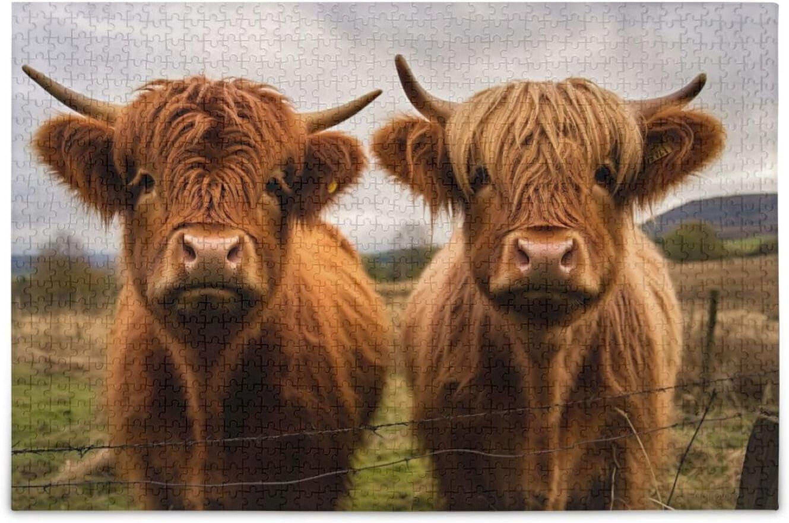 FREEAMG 1000 Pieces Highland Cattle Jigsaw Puzzle for Adults Teens Kids ...