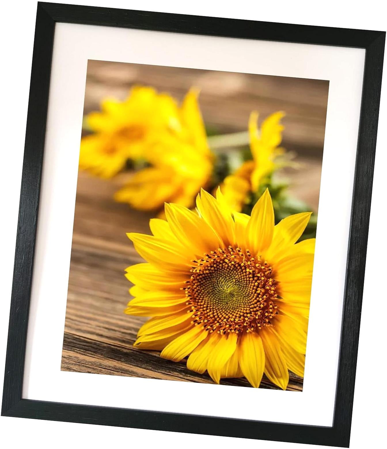 FREEAMG 14x17 Wall Picture Frame with 11x14 Mat, Gallery Frame for ...