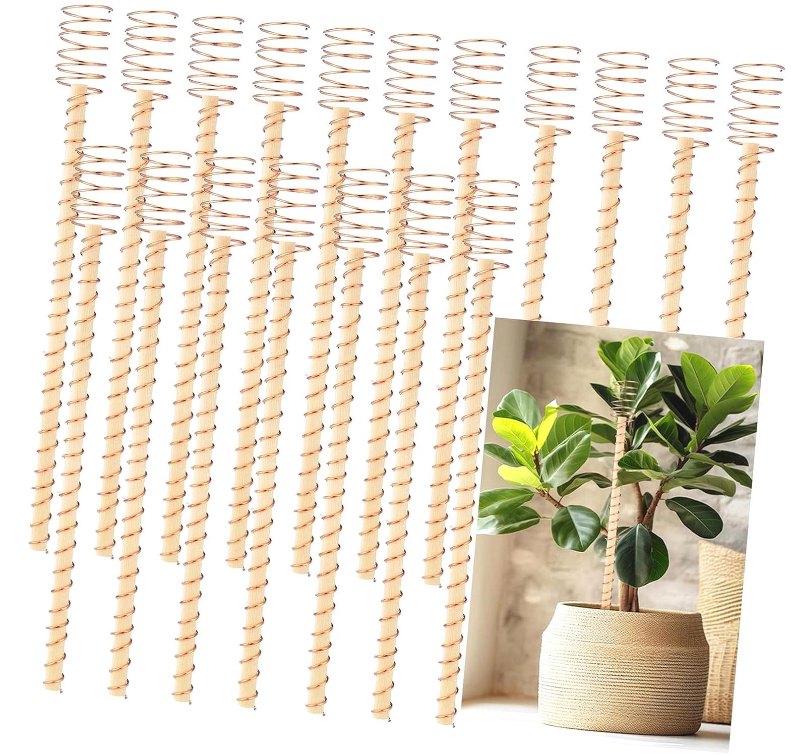 FREEAMG 18-Pack Electroculture Plant Supports, 13.5 Inches Long, Copper ...