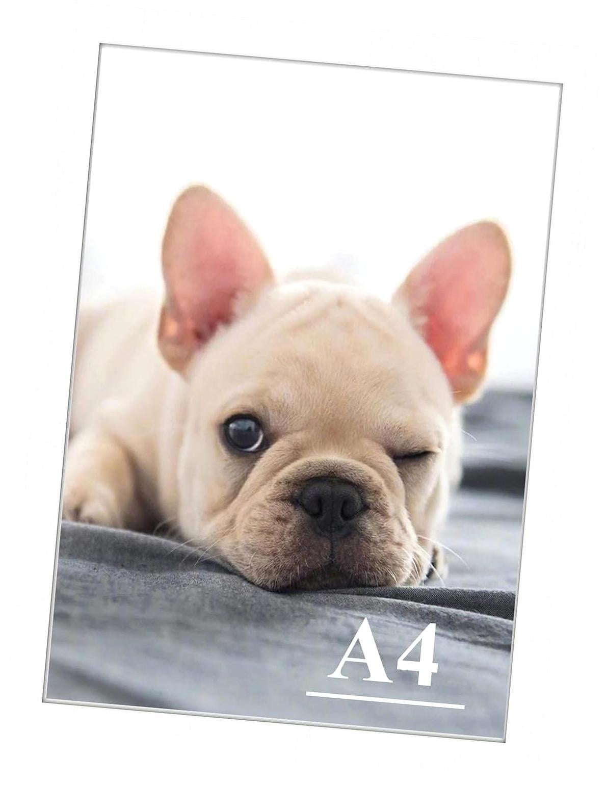 FREEAMG A4 Picture Frame, A4 Poster Photo Frame, Wall Gallery Photo ...