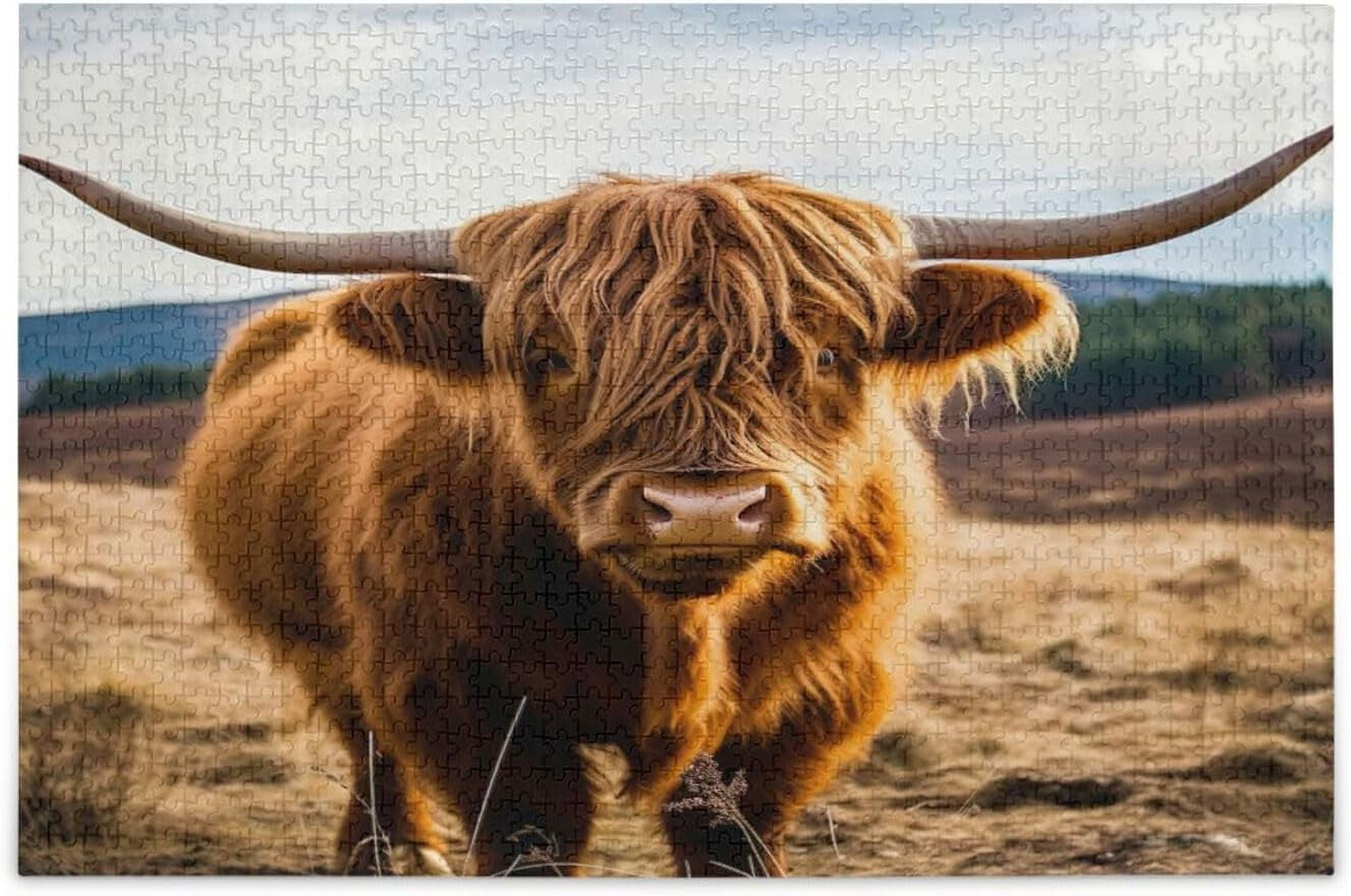 FREEAMG Brown Highland Cattle Jigsaw Puzzle 500 Pieces,Wooden Puzzles ...