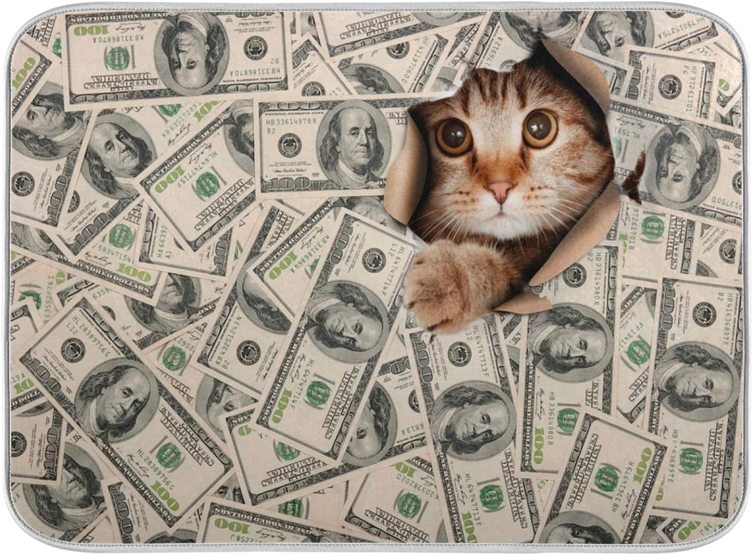 FREEAMG Cat Kitten Money Dollar Vintage Dish Drying Mat for Kitchen ...