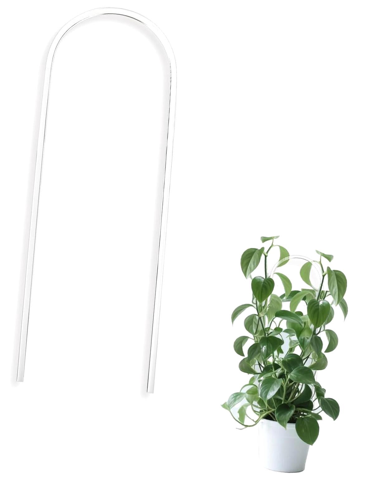 FREEAMG Clear Acrylic U-Shaped Plant Trellis (Single Pack) - Indoor ...