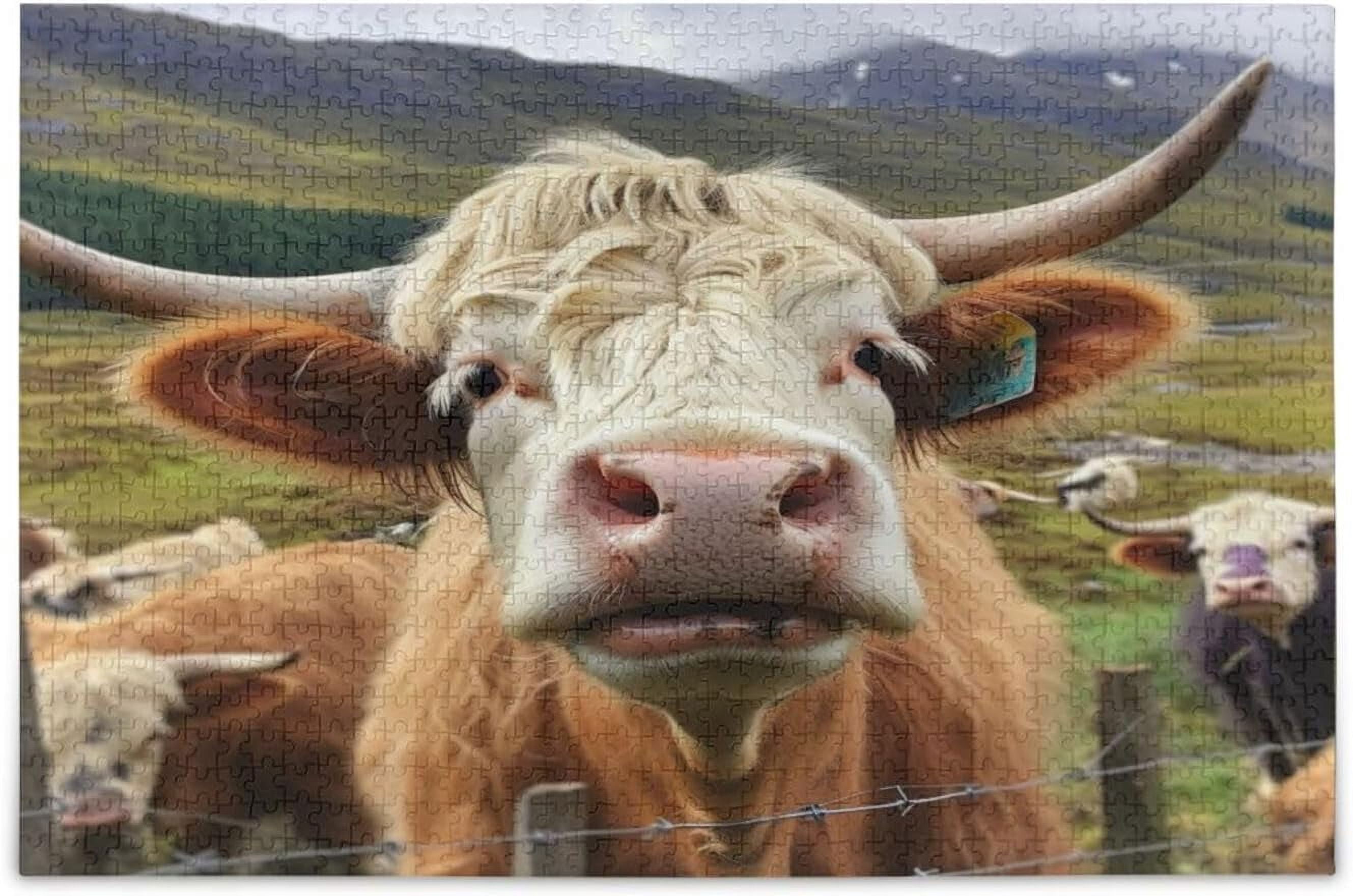 FREEAMG Cute Highland Cattle Jigsaw Puzzles for Adults 500 Pieces ...