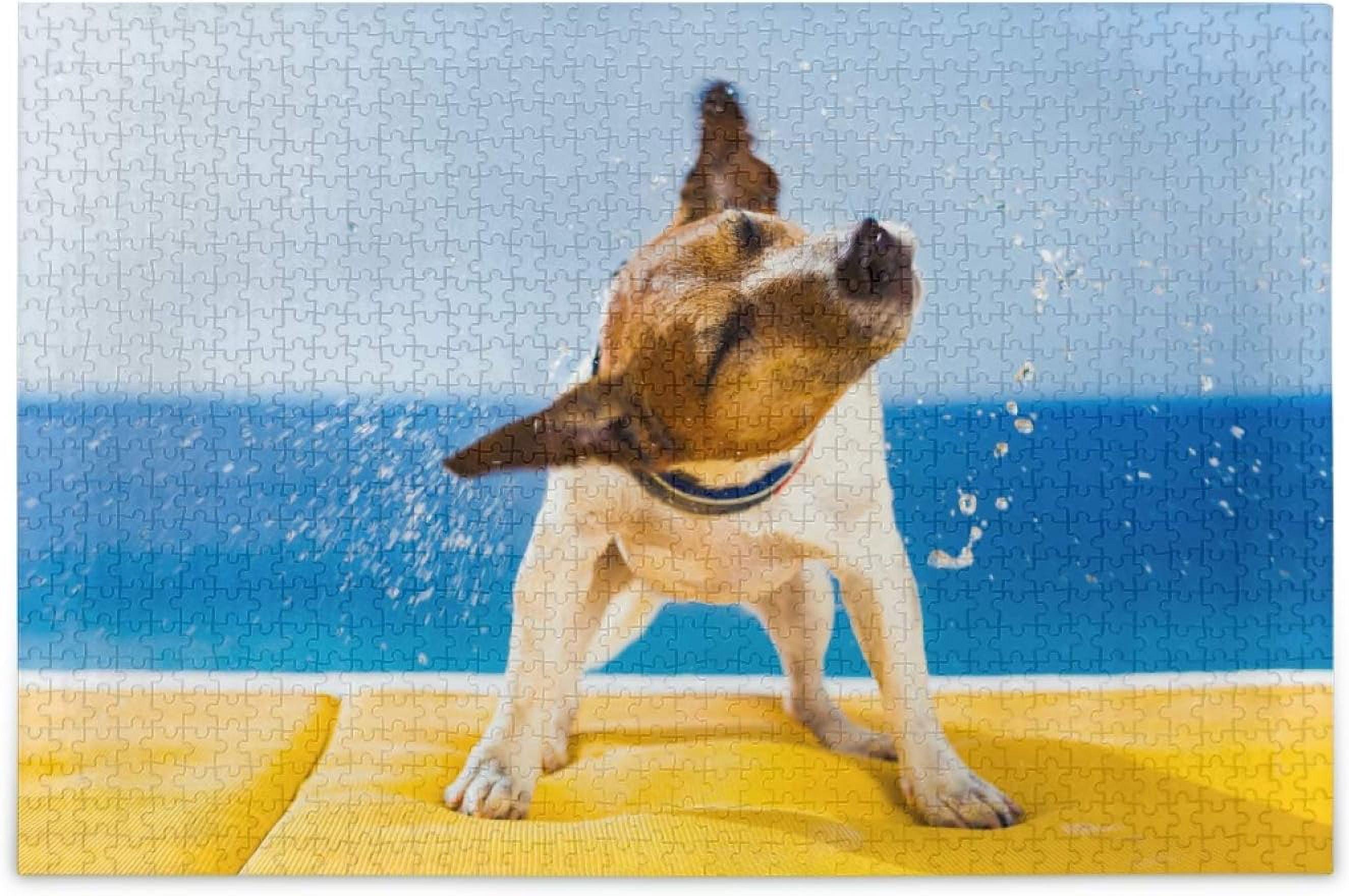 FREEAMG Cute Small Dog Funny Puzzle for Adults 500 Piece Puzzles Game ...