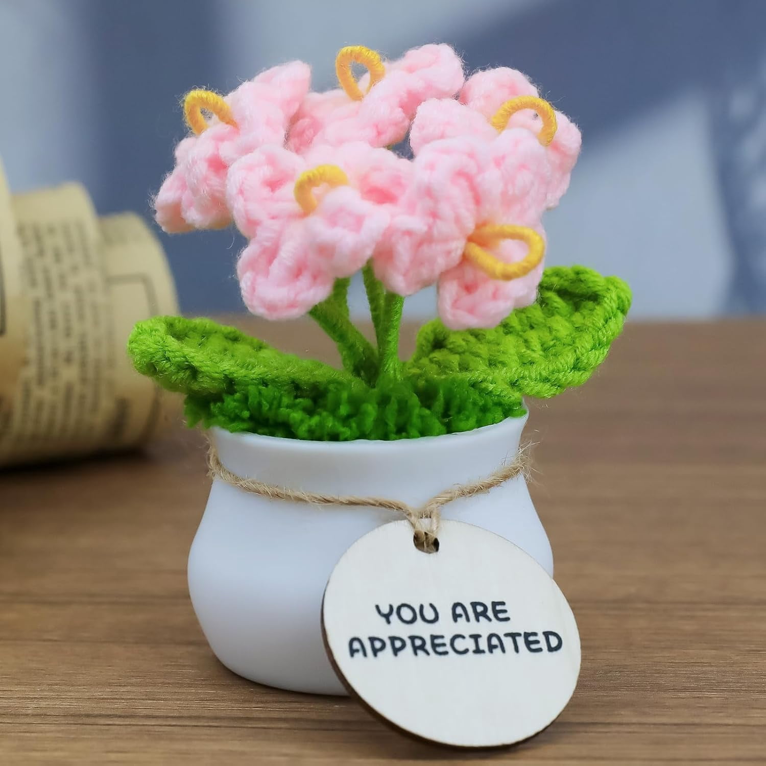 FREEAMG Encouragement Croet Flowers with Positive Wooden Afrmations ...