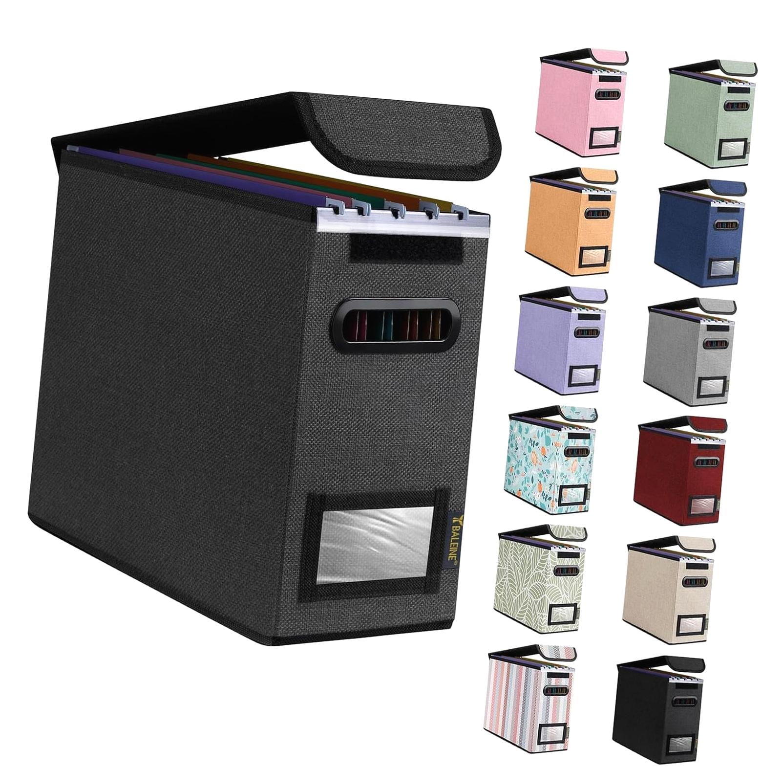 FREEAMG File Organizer Box with Lid, Foldable File Folder Organizer ...