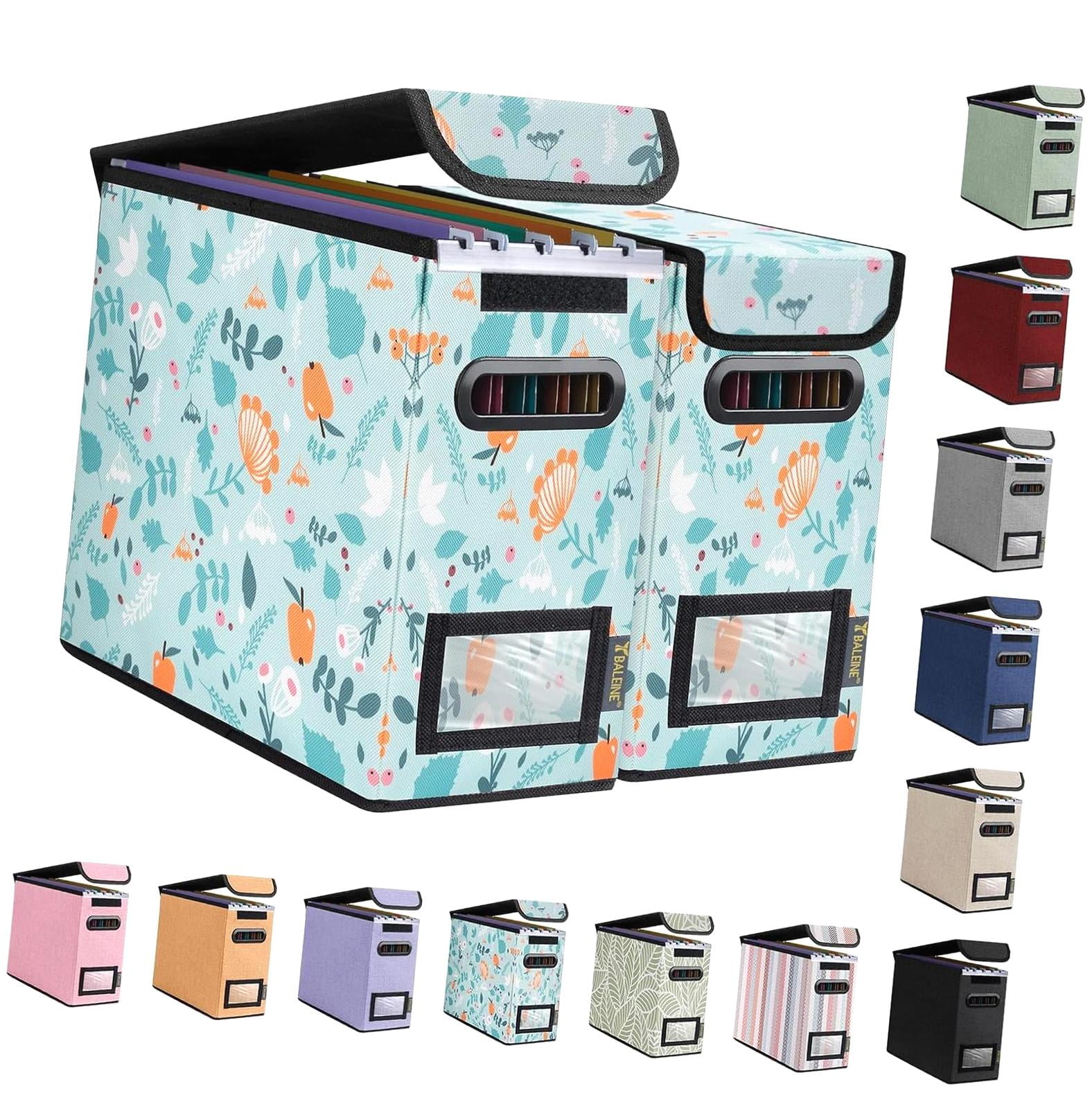 FREEAMG File Organizer Box with Lid, Foldable File Folder Organizer ...