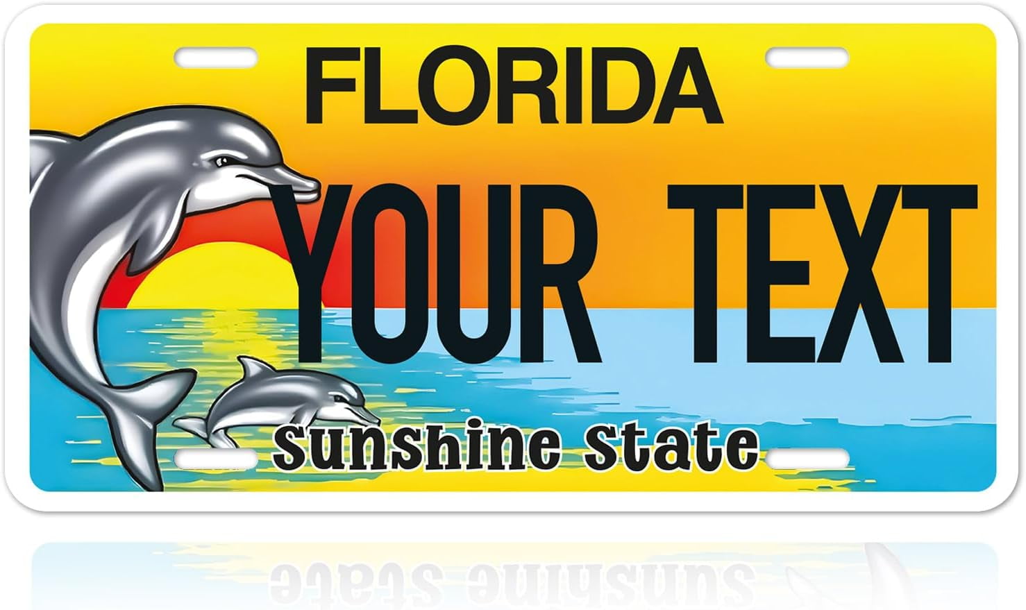 FREEAMG Florida Dolphin Mini License Plate, 50 States Fake License ...