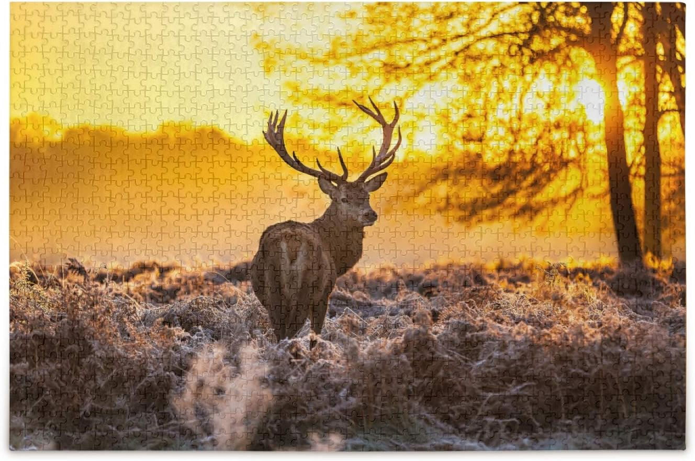 FREEAMG Forest Deer Sunrise Puzzle for Adults 1000 Piece Puzzles Game ...