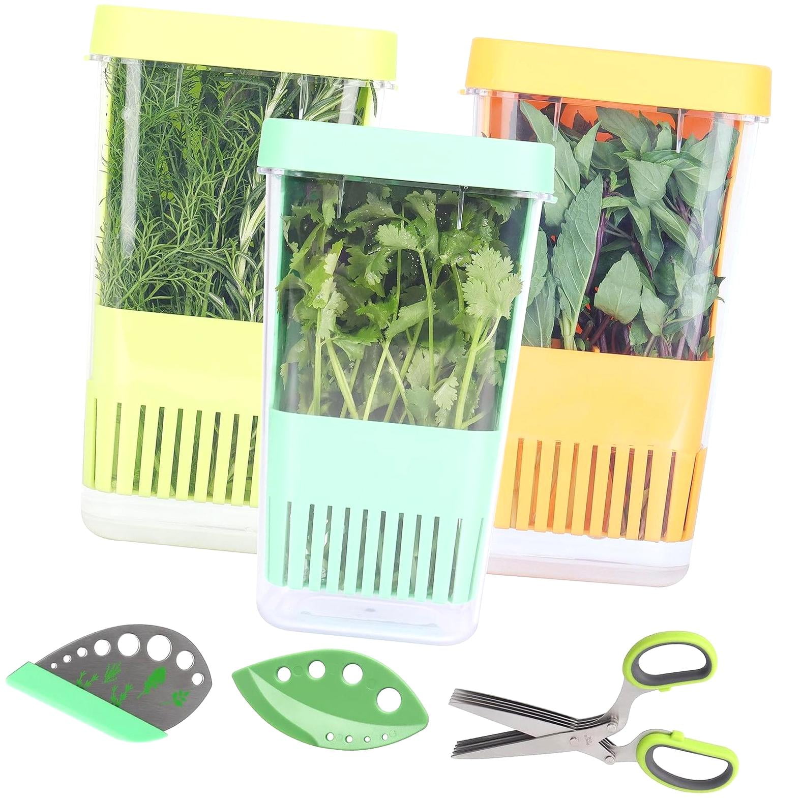 FREEAMG Fresh Keeper for Refrigerator, Clear Saver, Storage Container ...