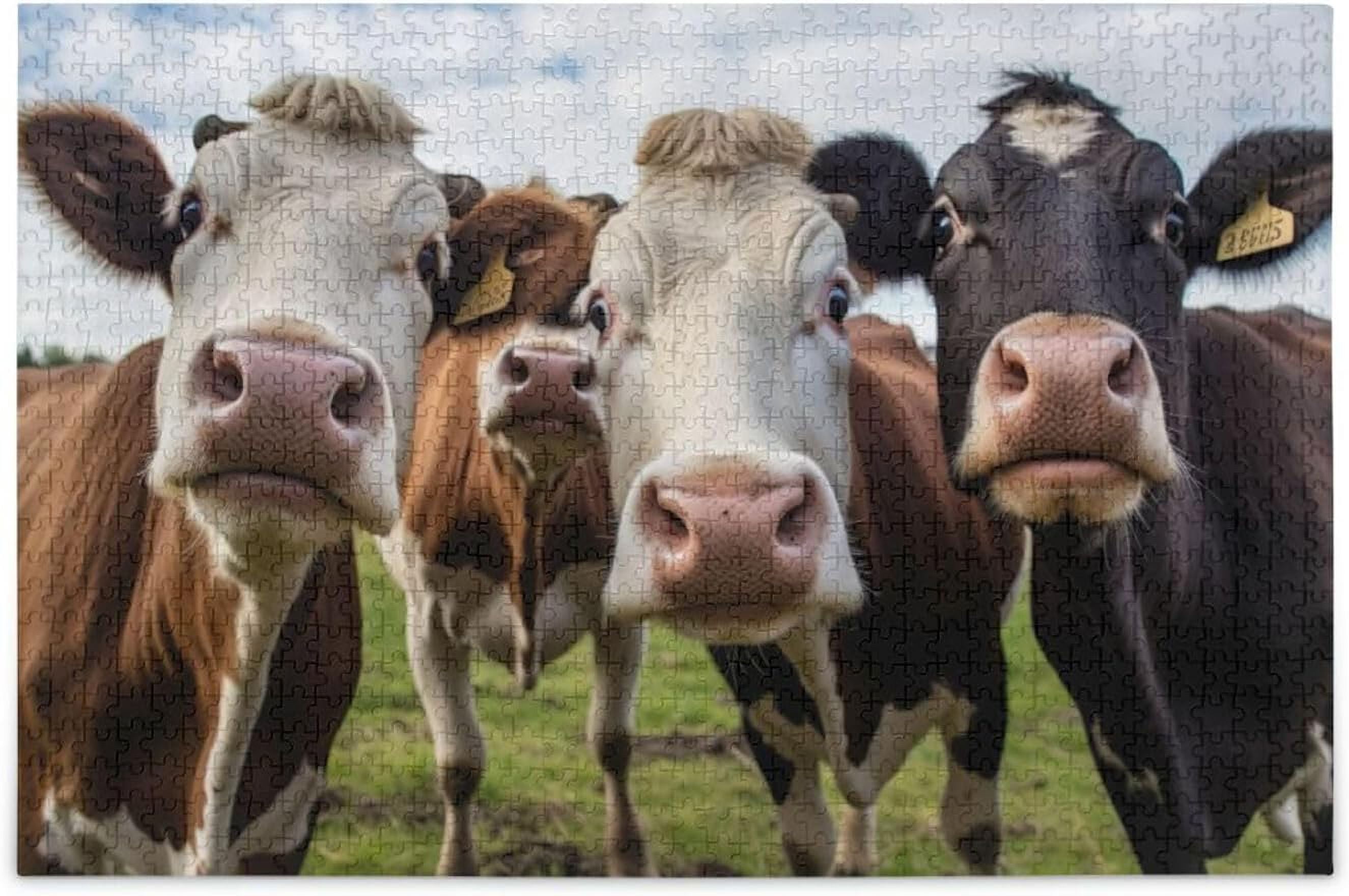 FREEAMG Funny Cows Puzzles for Adults 500 Pieces, Adults and Kids ...