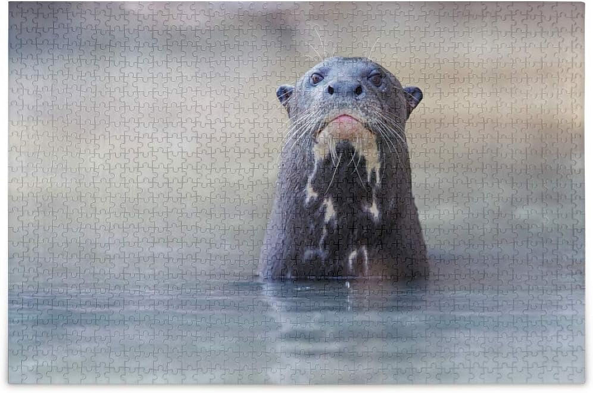FREEAMG Giant River Otter in Wild Nature Habitat Wildlife Water Animal ...