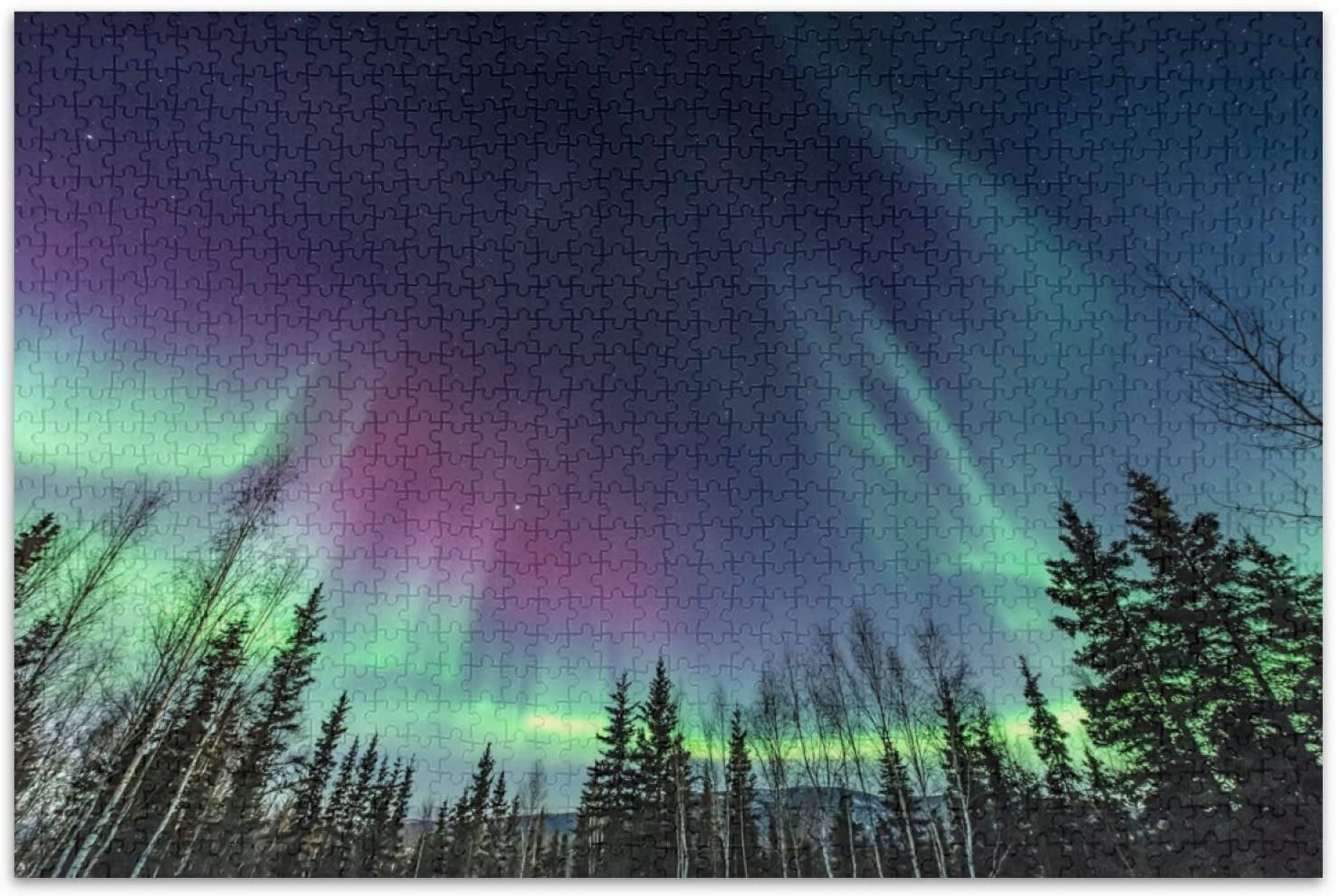 FREEAMG Green Purple Northern Lights Puzzles for Adults 500 Piece ...