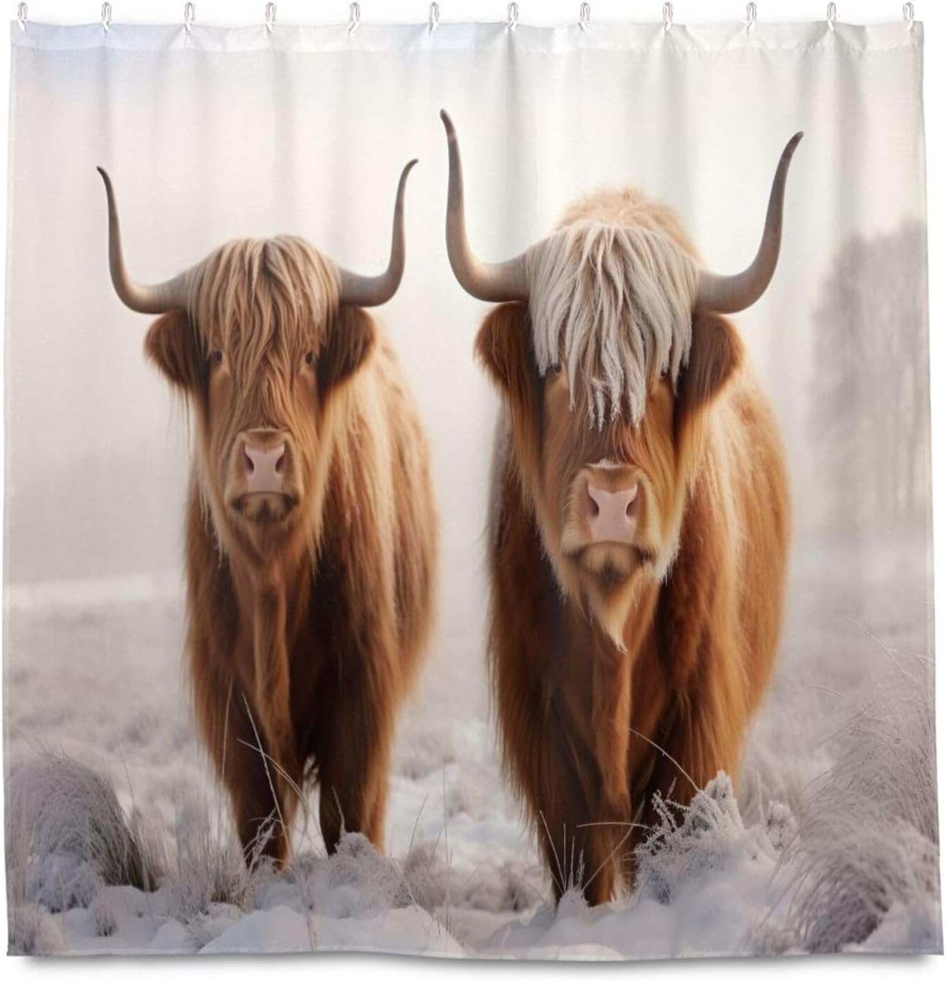 FREEAMG Highland Cattle Shower Curtain - 72x72 Inch Waterproof Fabric ...