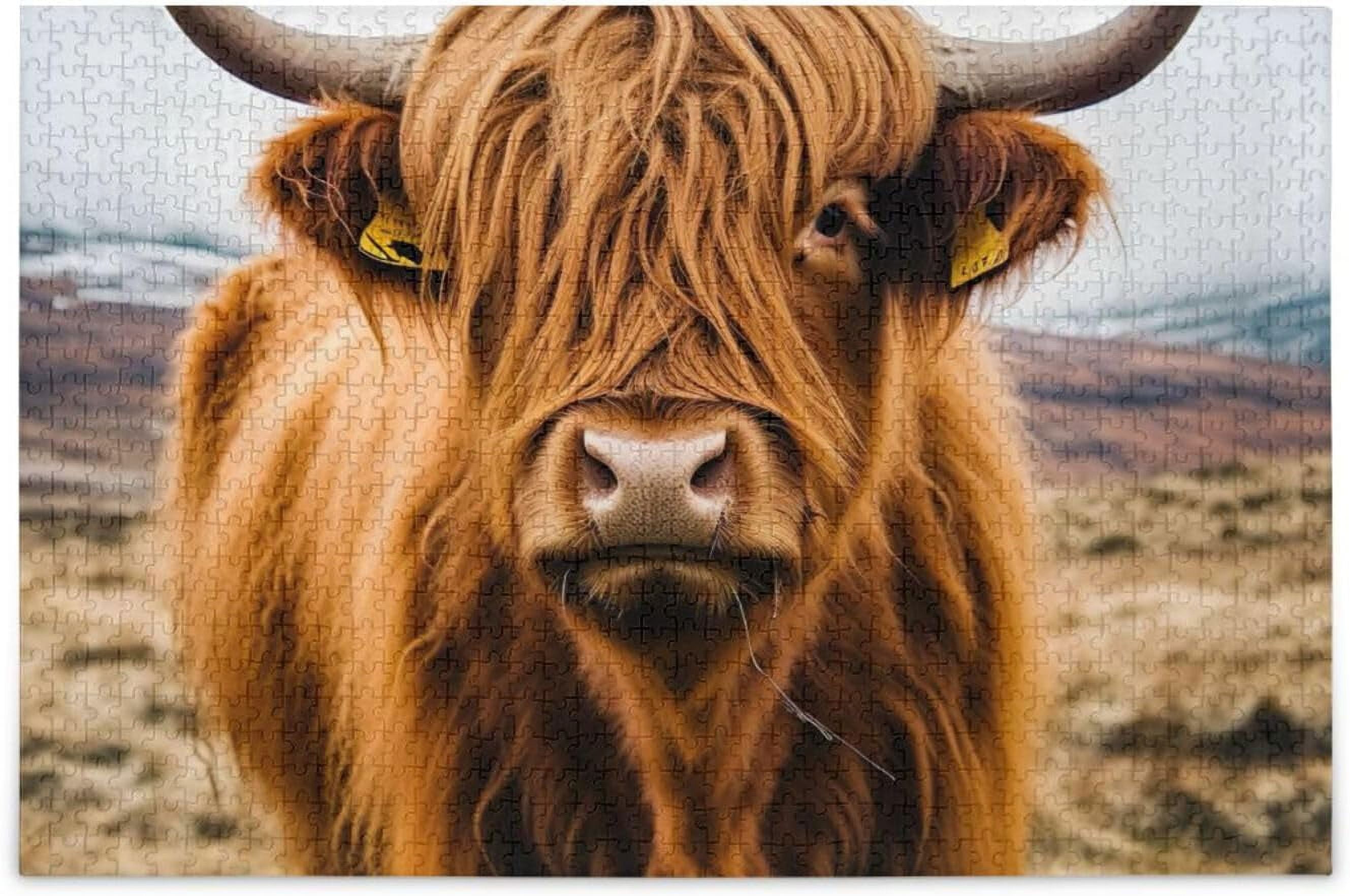 FREEAMG Highland Cow Jigsaw Puzzle for Adults Teens Kids, 1000 Pieces ...