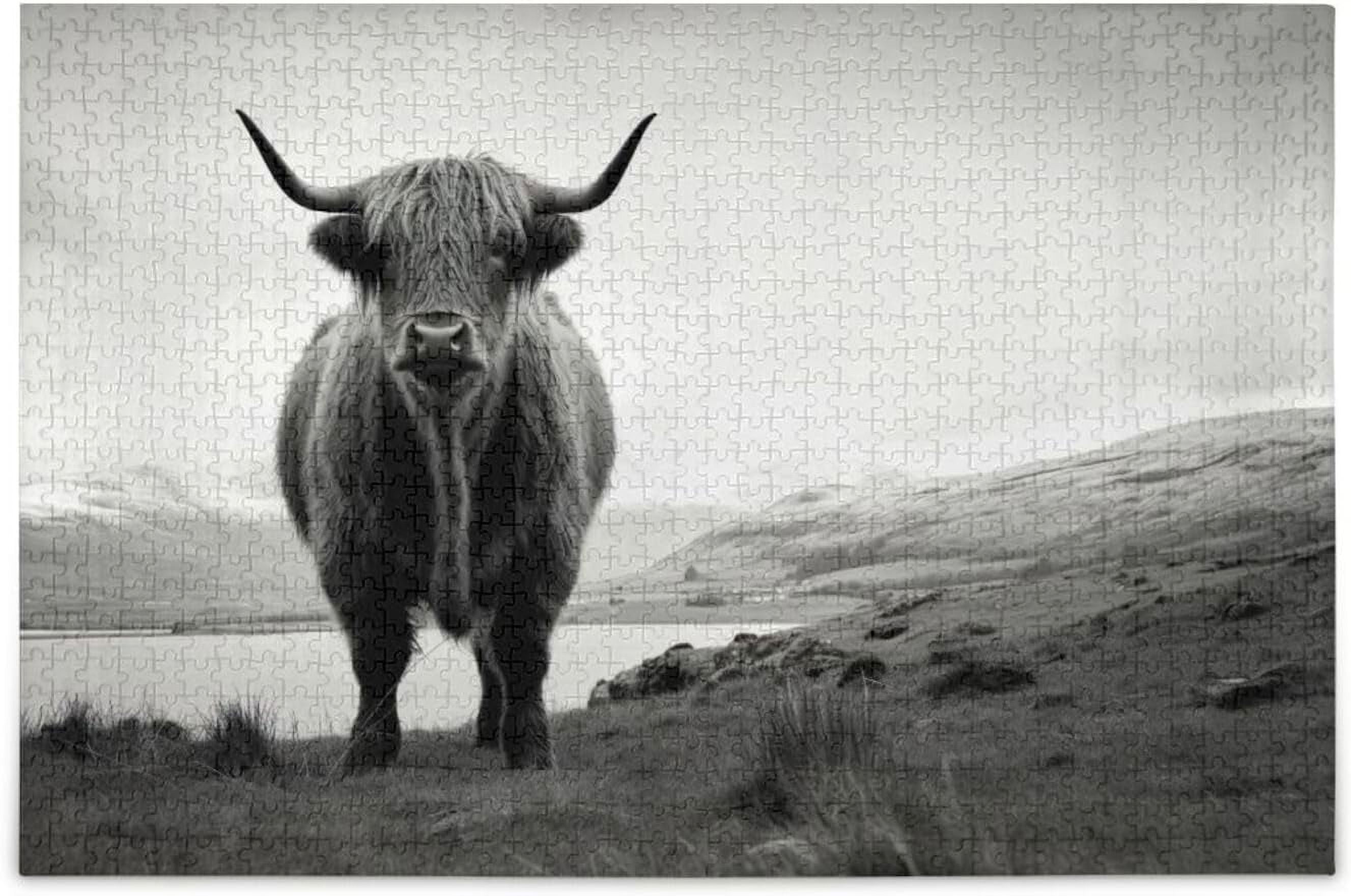 FREEAMG Highland Cow Jigsaw Puzzles for Adults 500 Pieces,Decompression ...