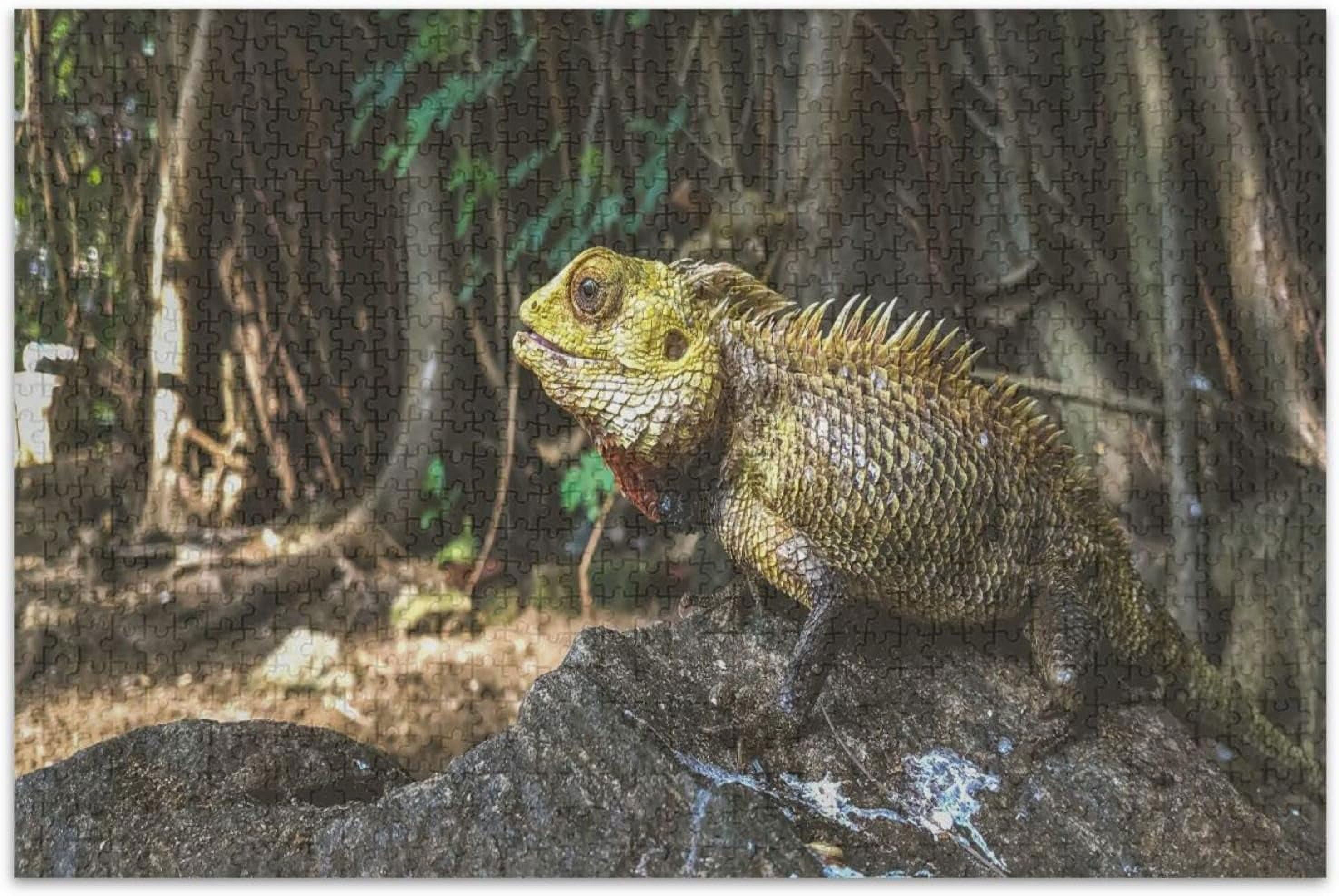 FREEAMG Indian Yellow Garden Lizard 1000 Pcs of Irregular Puzzle in a ...