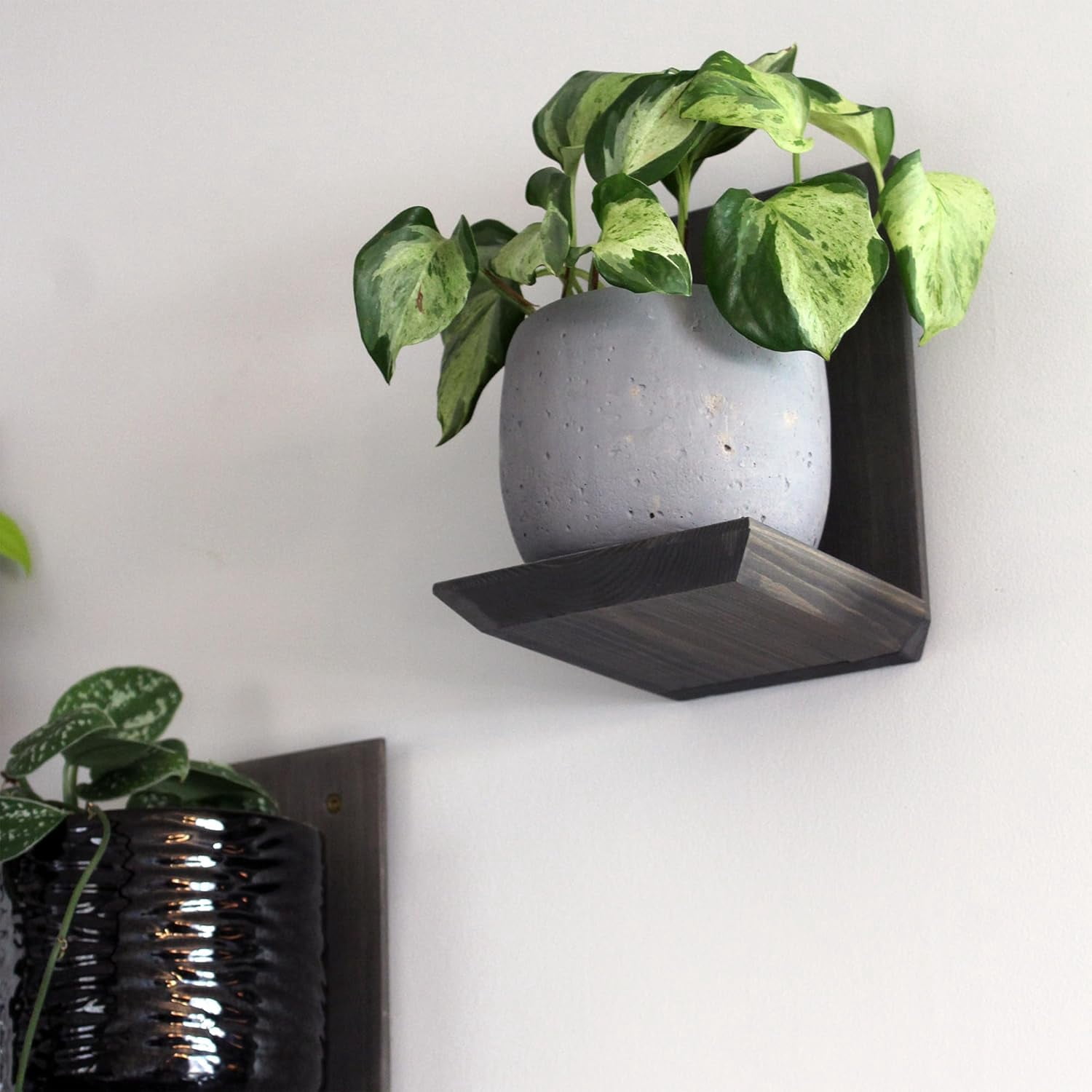FREEAMG Indoor Plant Wall Gallery Shelf Kit | Midcentury Modern Wooden ...