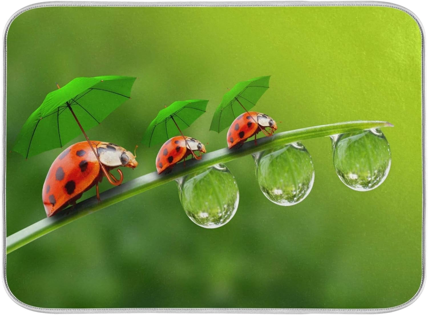 FREEAMG Ladybug Ladybird Green Landscape Nature Dish Drying Mat for ...