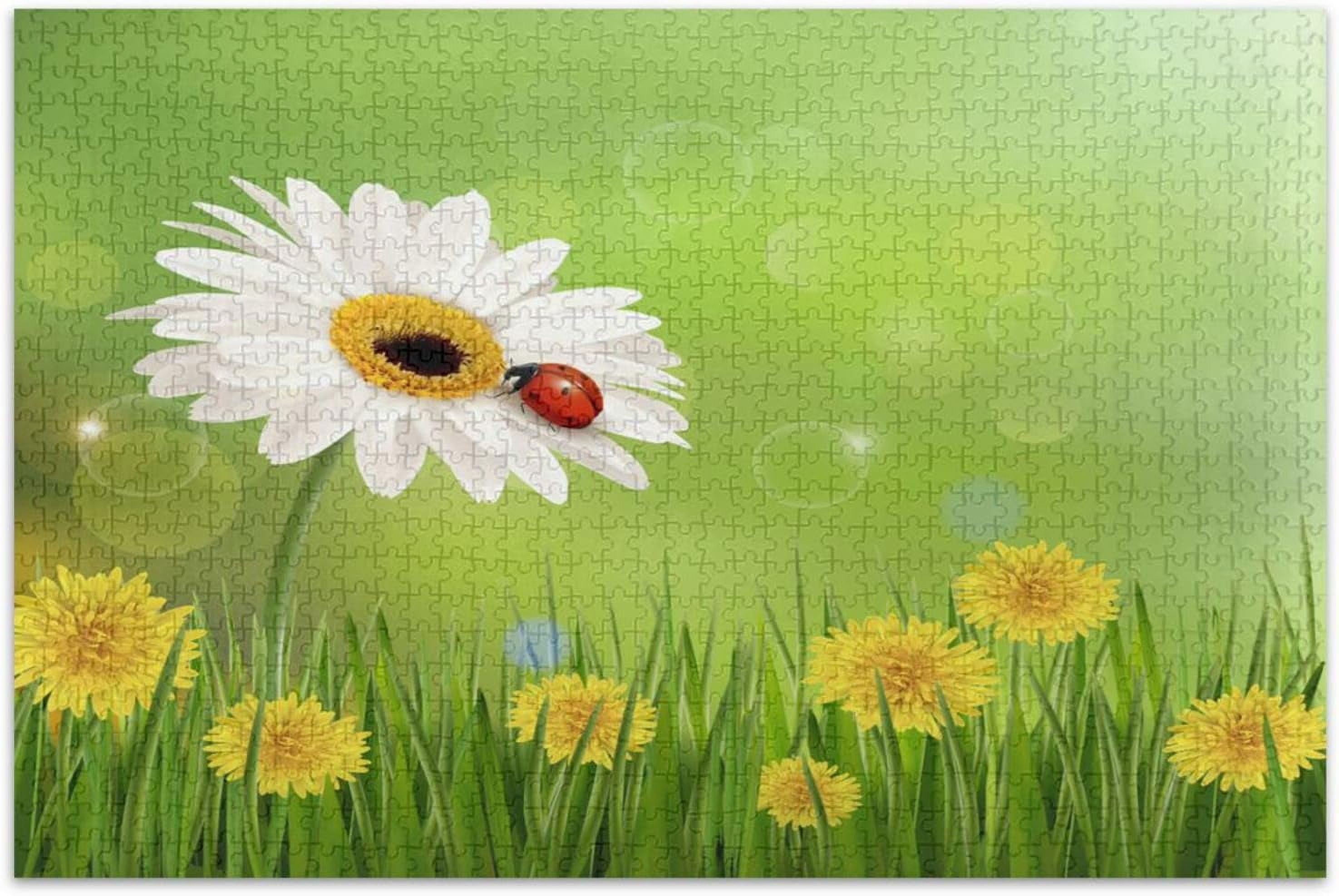 FREEAMG Ladybugs Daisy 500 Piece Jigsaw Puzzle, Wall Artwork Puzzle ...